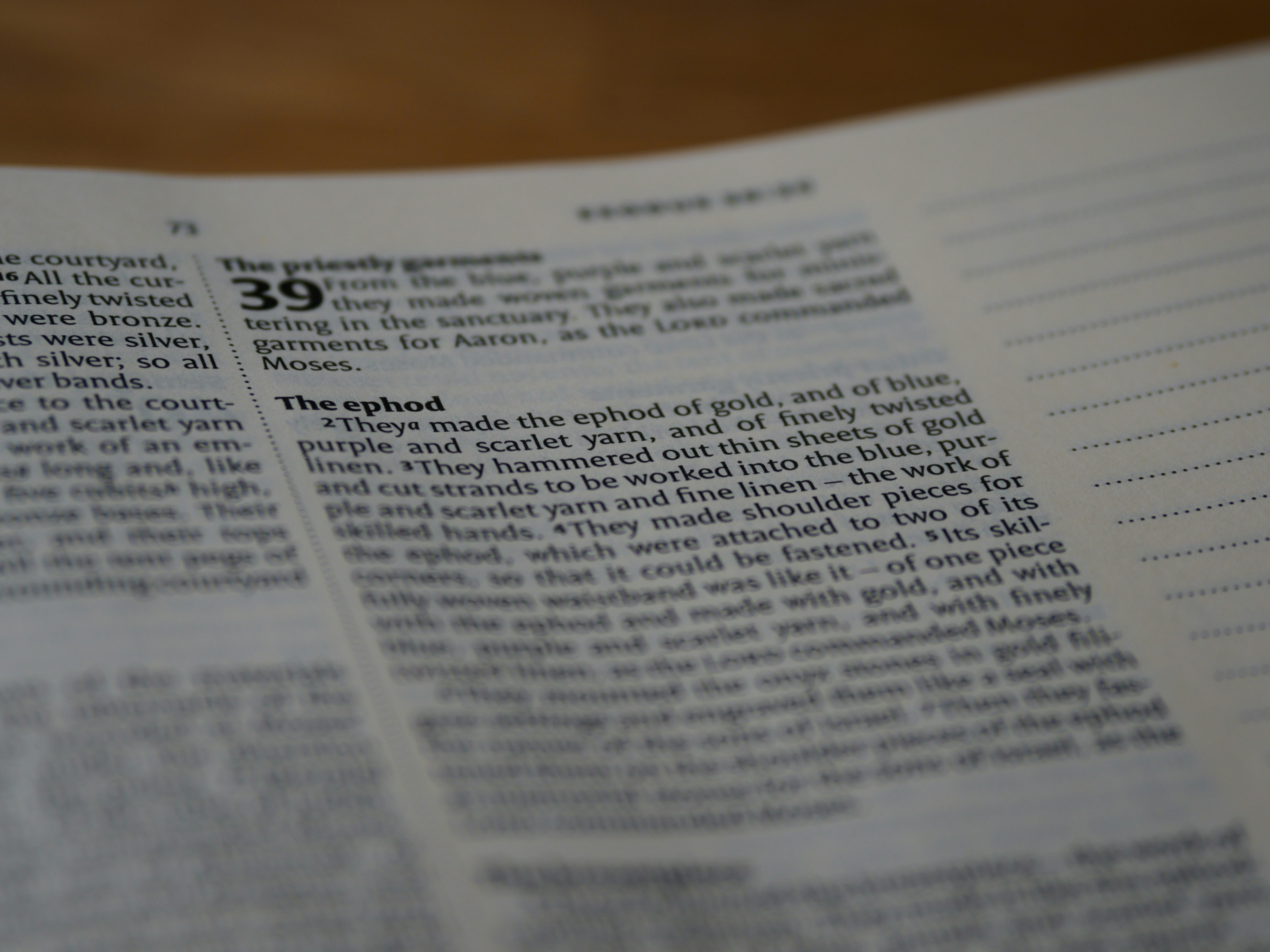 Exodus Pictures | Download Free Images on Unsplash