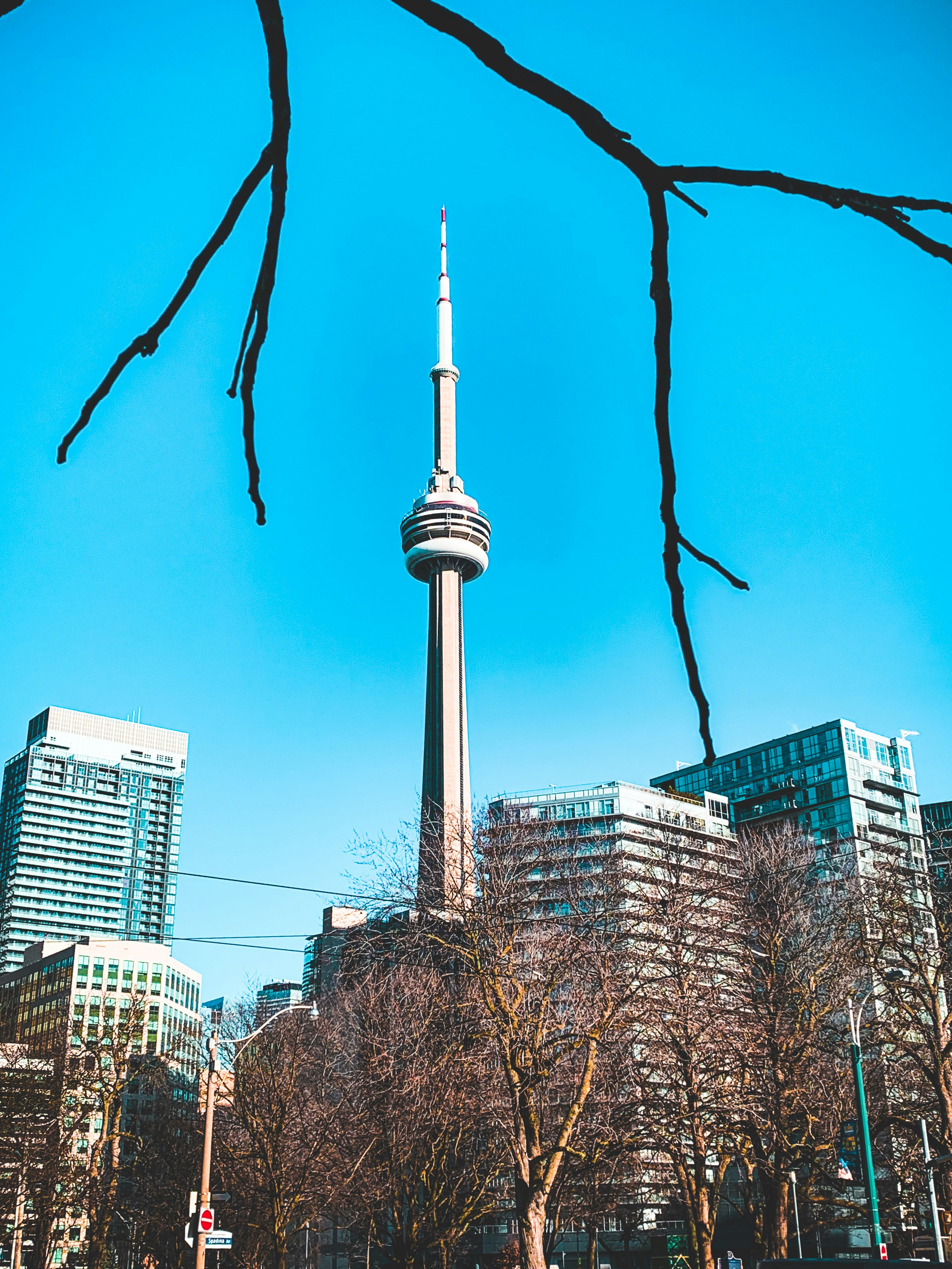 CN Tower Rises Over a Winter City Under a Cerulean Sky