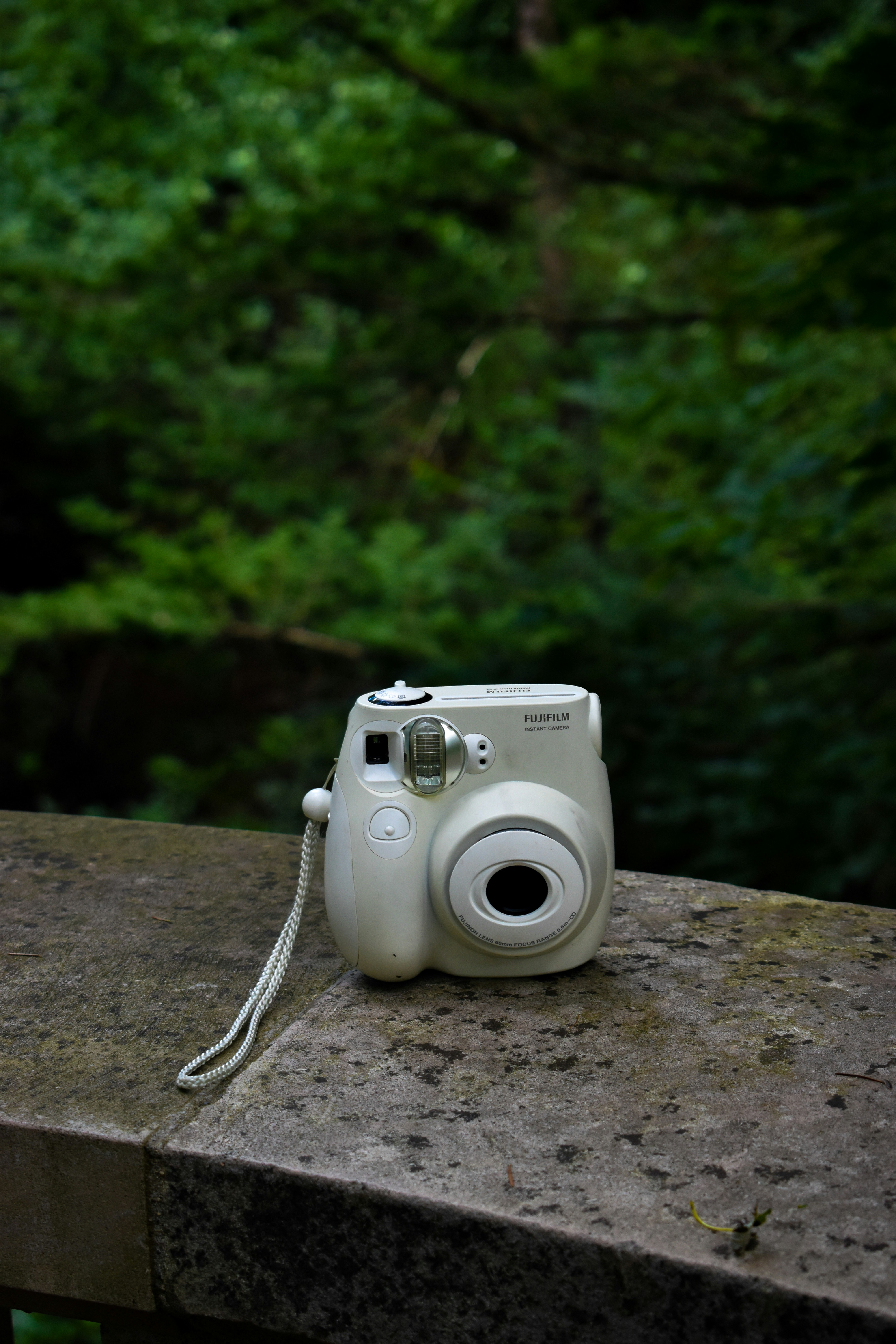 Polaroid in the woods