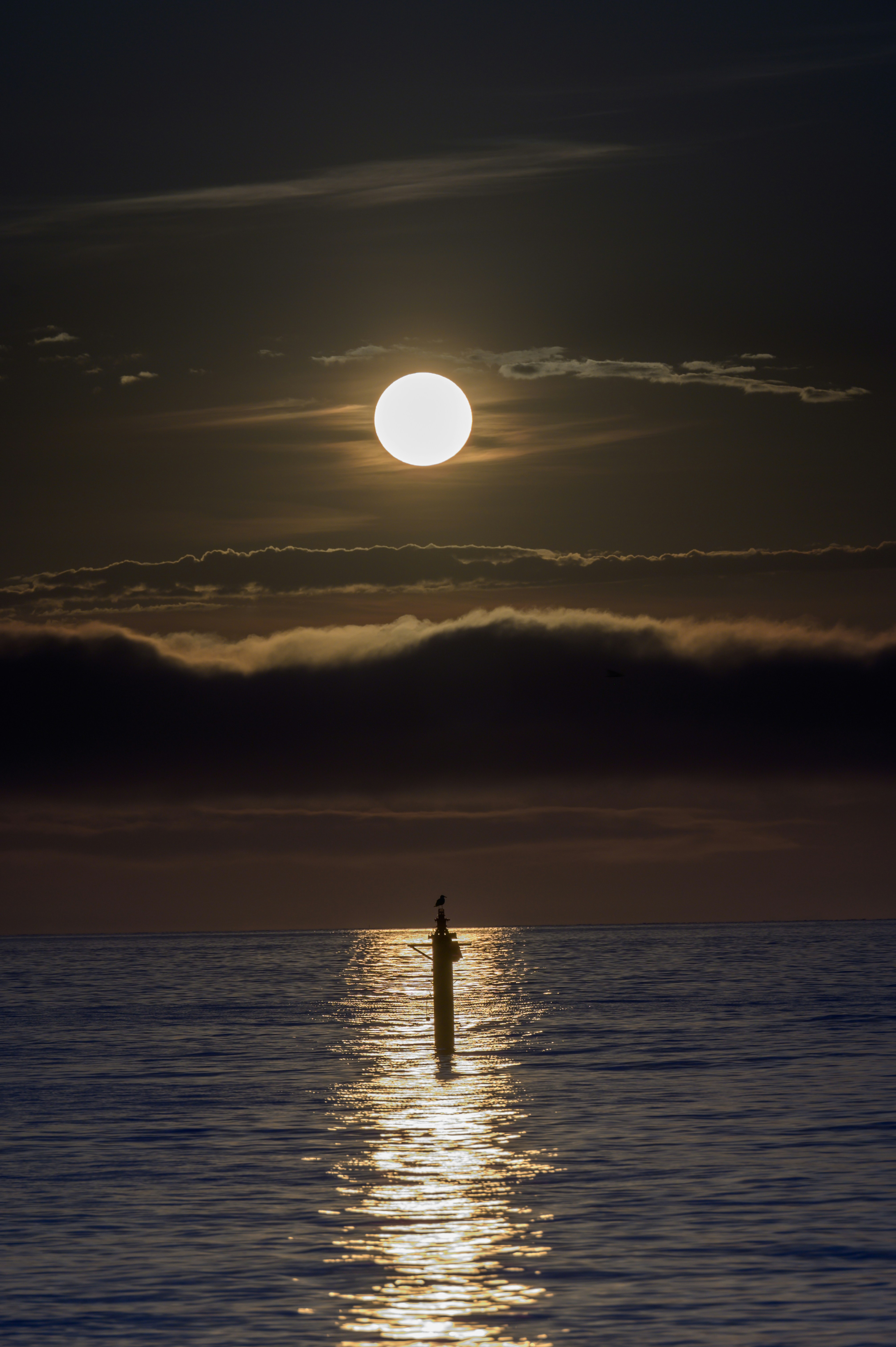 Full Moon Ocean Pictures | Download Free Images on Unsplash