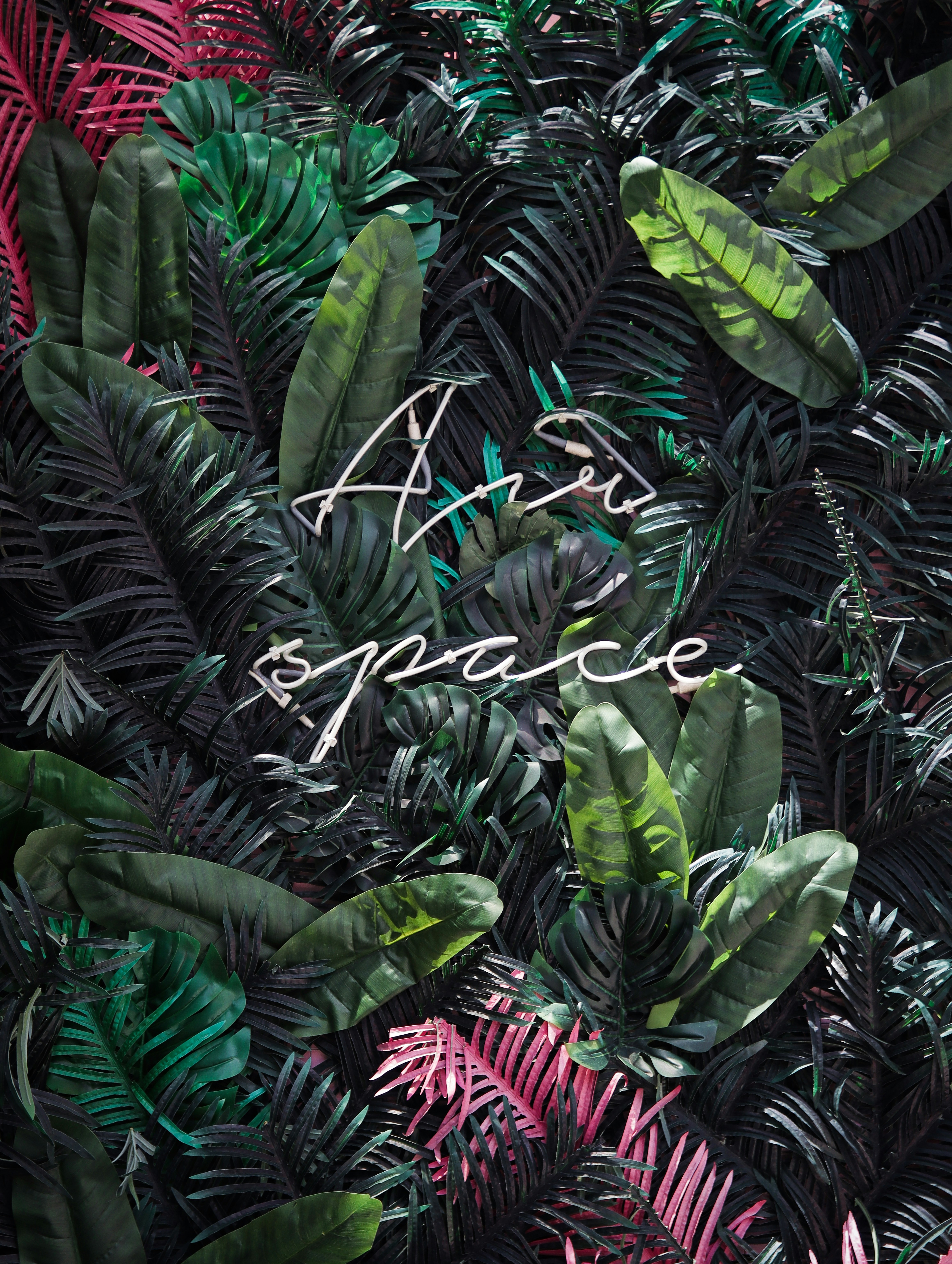 Lush tropical foliage with glossy leaves and a glowing script overlay, creating a decorative botanical backdrop. A stylized wall art/installation element amid dense greenery.