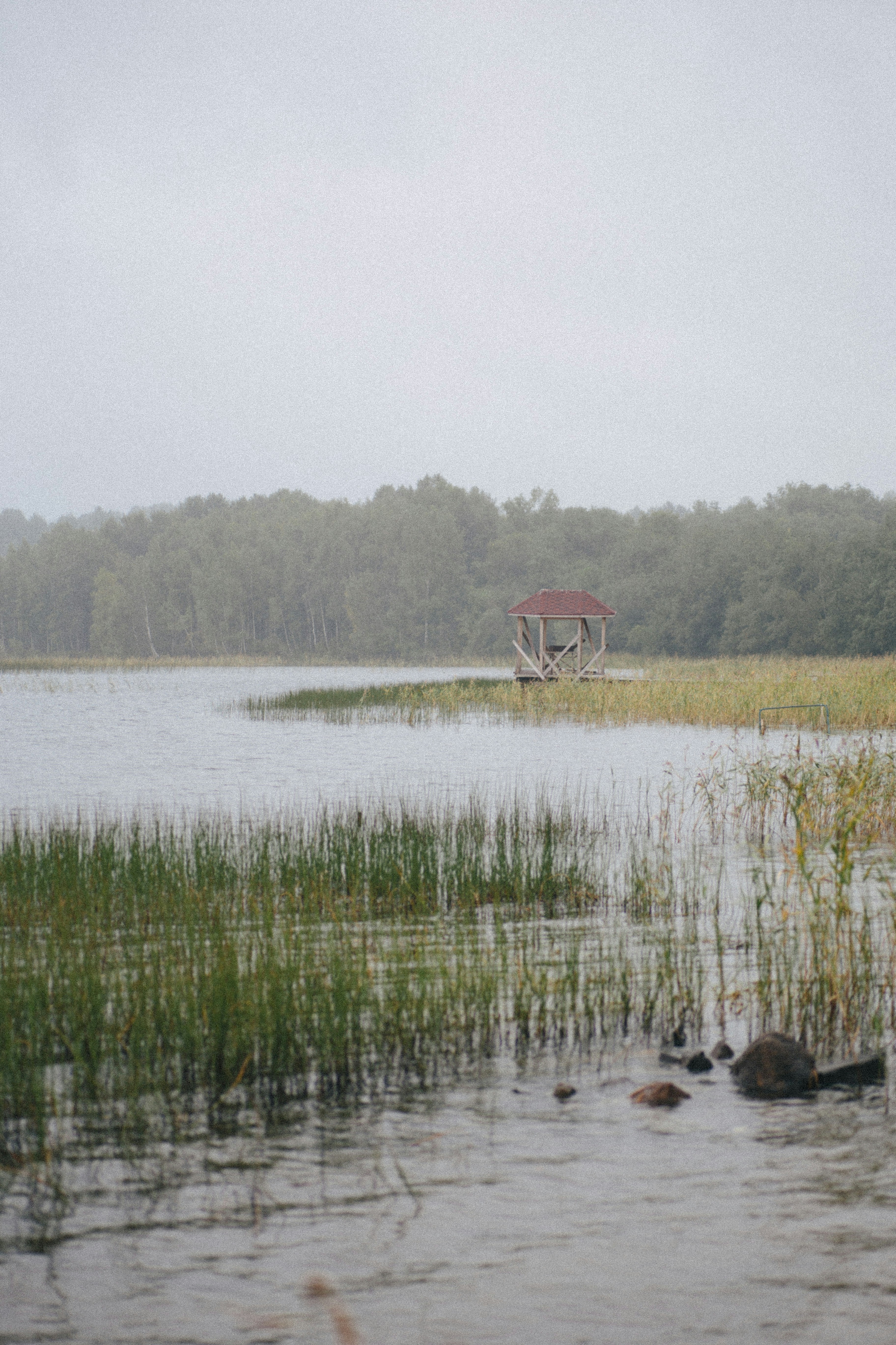 green grass field near lake during daytime