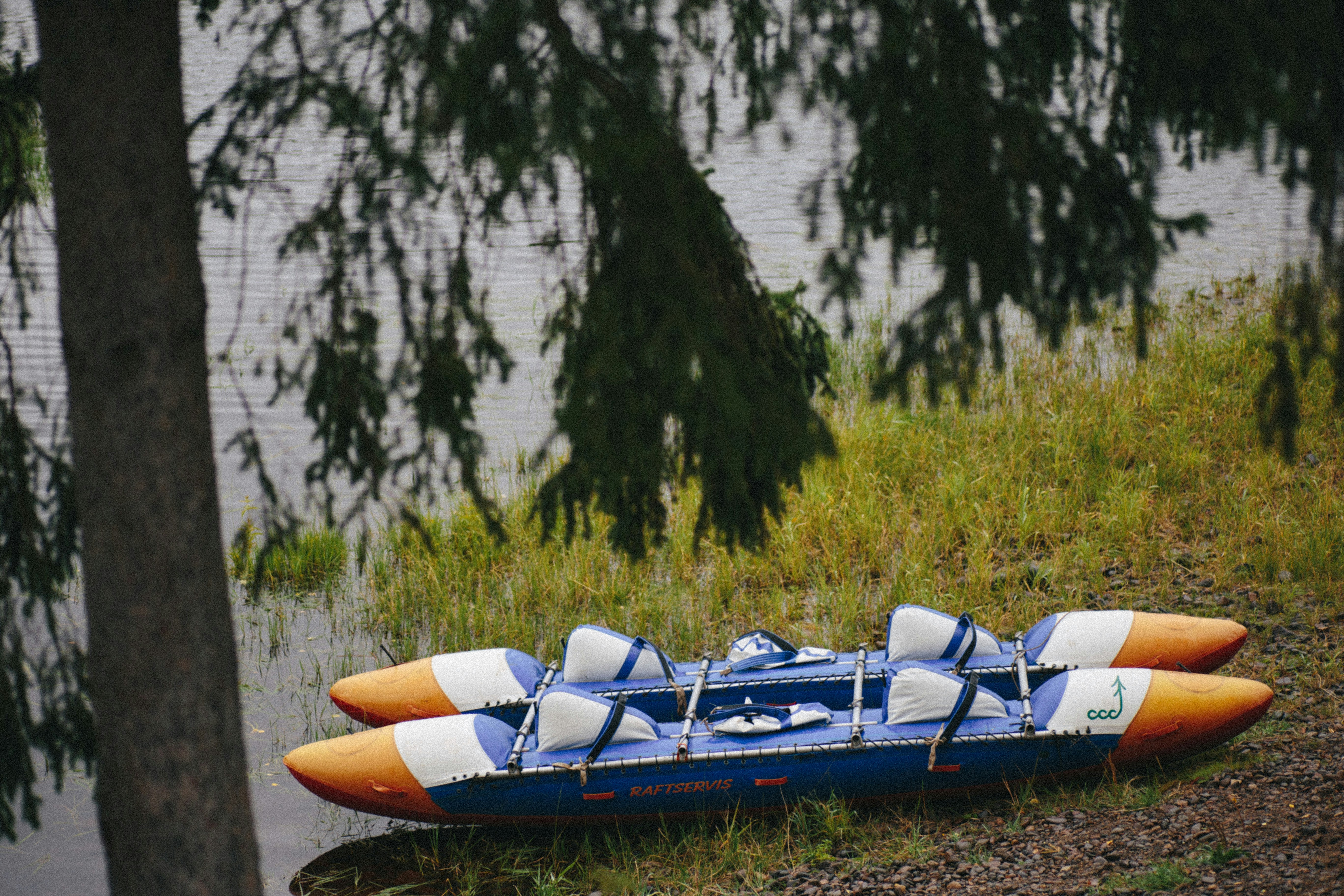 Blue inflatable raft on a mossy lakeshore framed by hanging pines