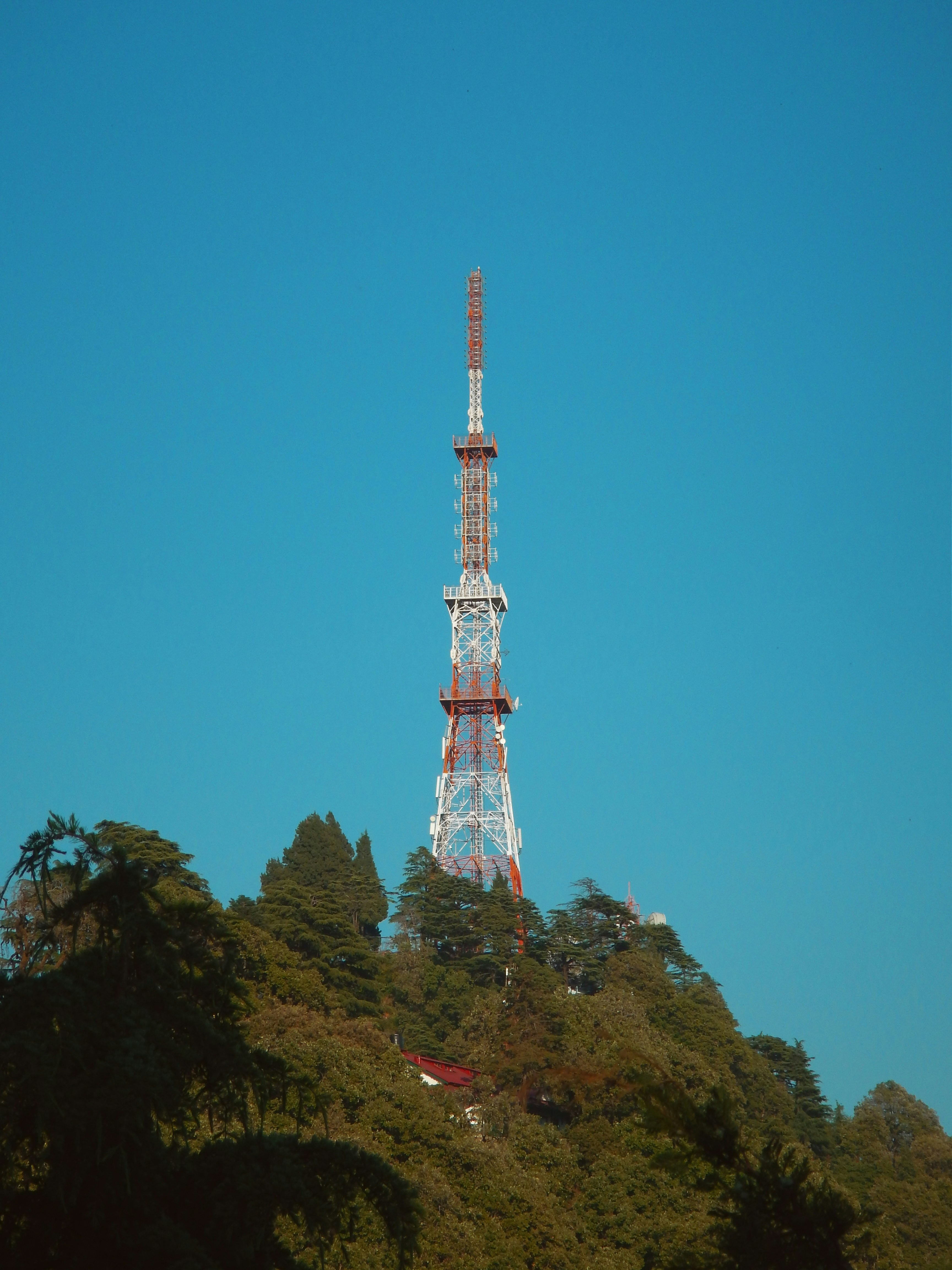 Communication tower rising above lush greenery against a clear blue sky.