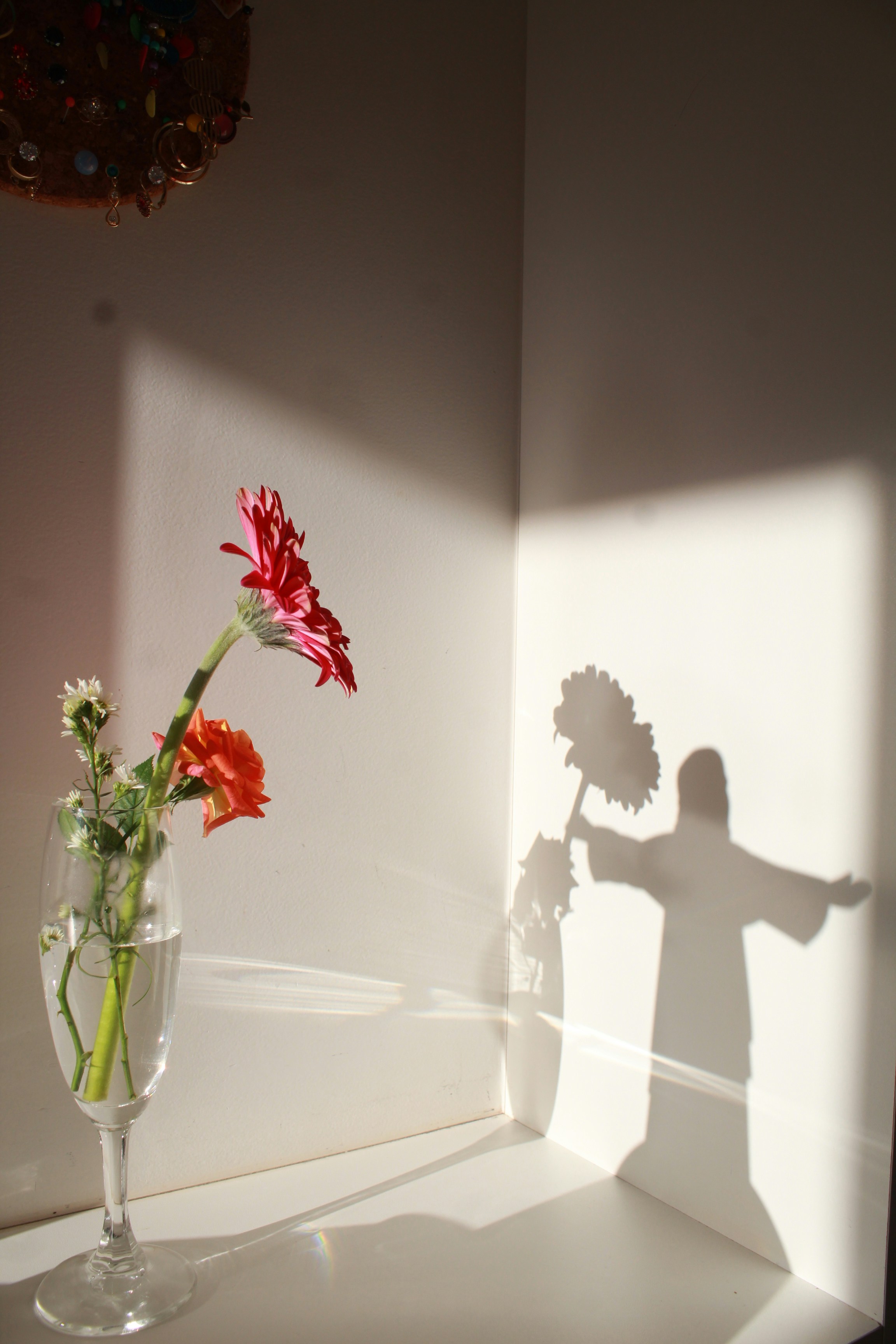 Corner Bloom: Sunlit Vase and Shadow Portrait on a Quiet Wall