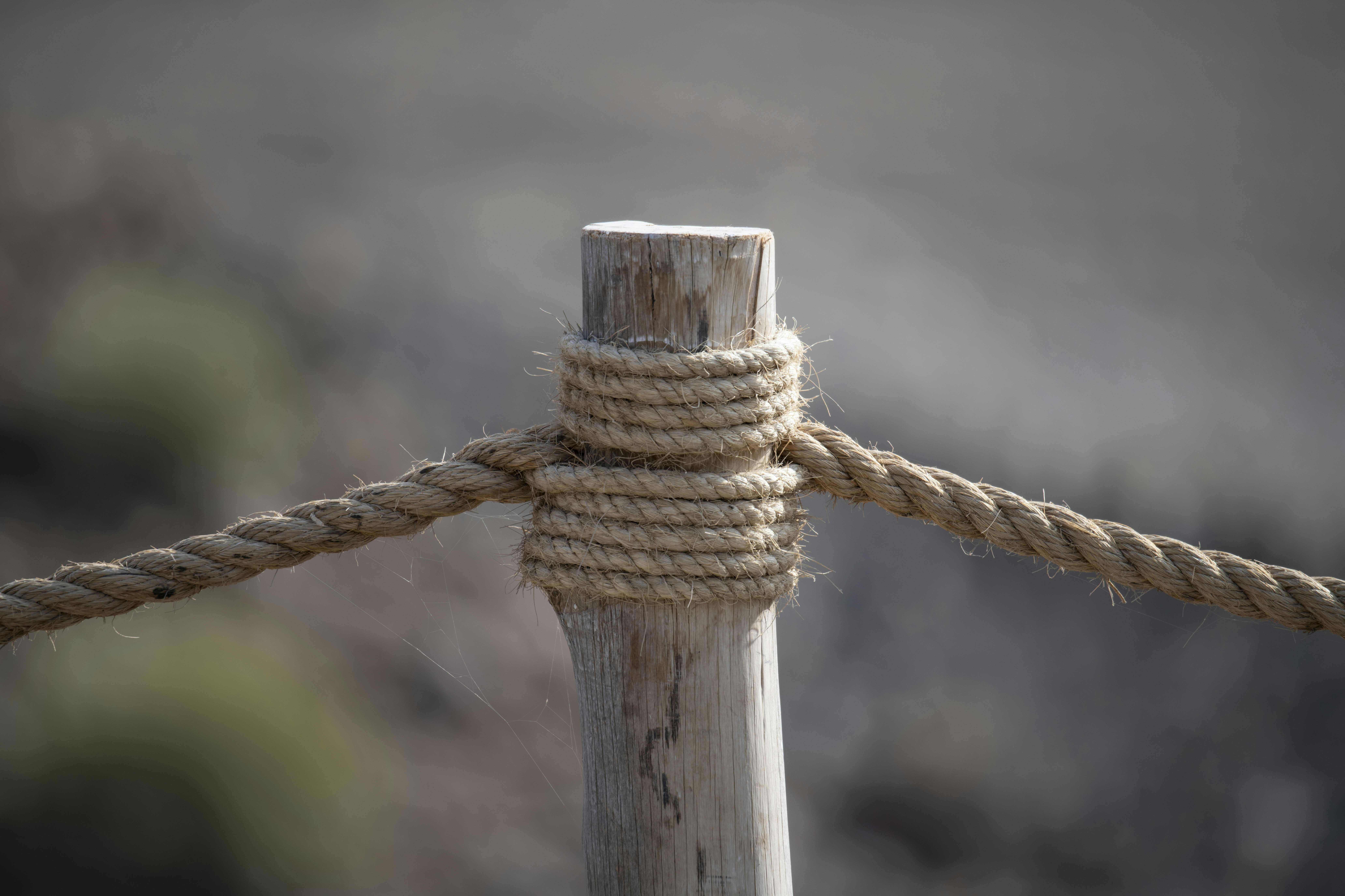 Foto Cuerda marrón atada en un poste de madera marrón – Imagen Hatta ...