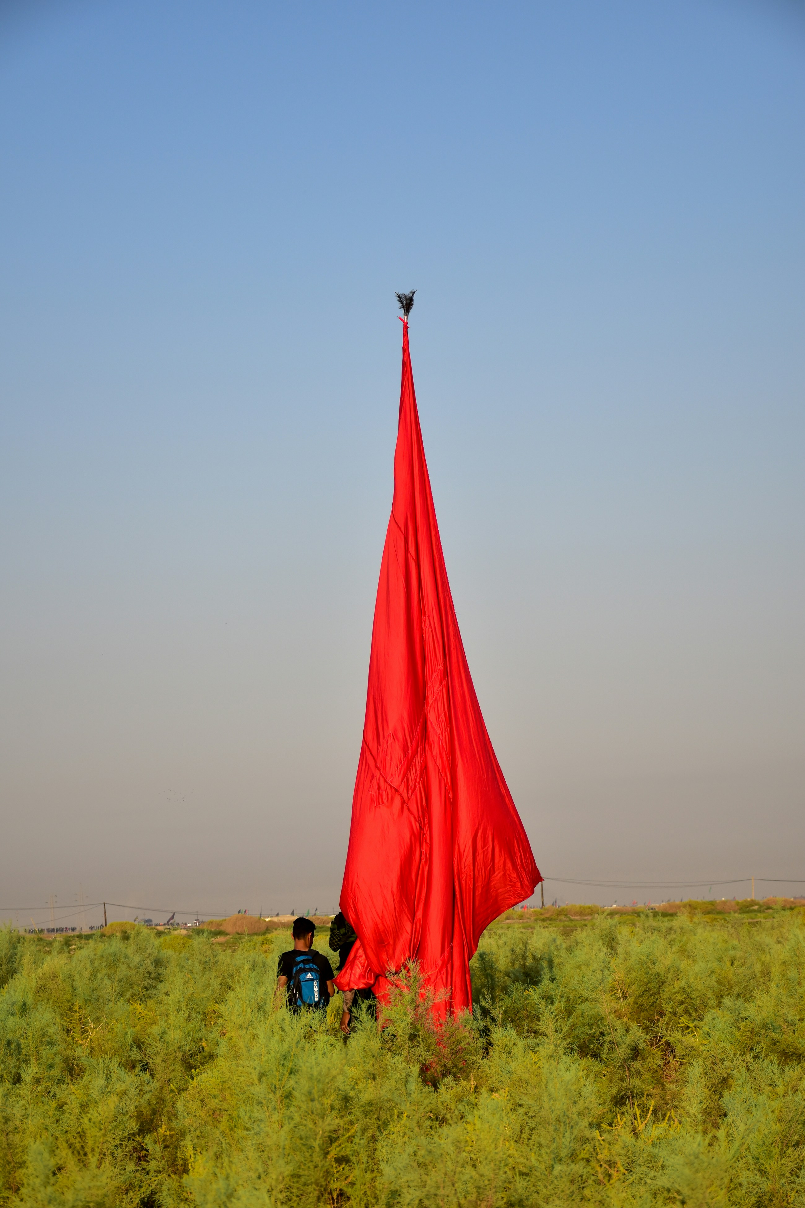 Scarlet Flag Pierces the Quiet Prairie