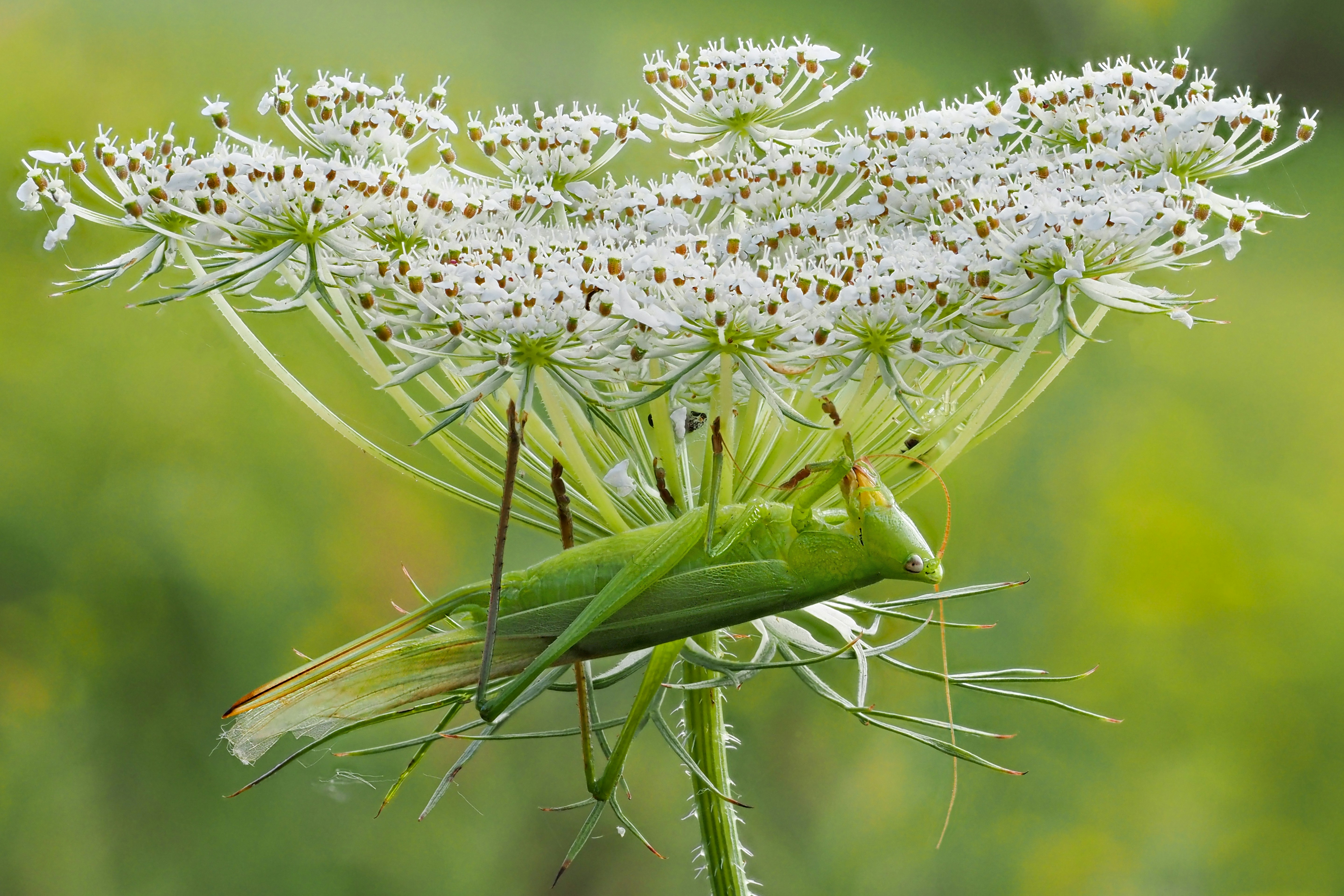 Sins Pictures | Download Free Images on Unsplash