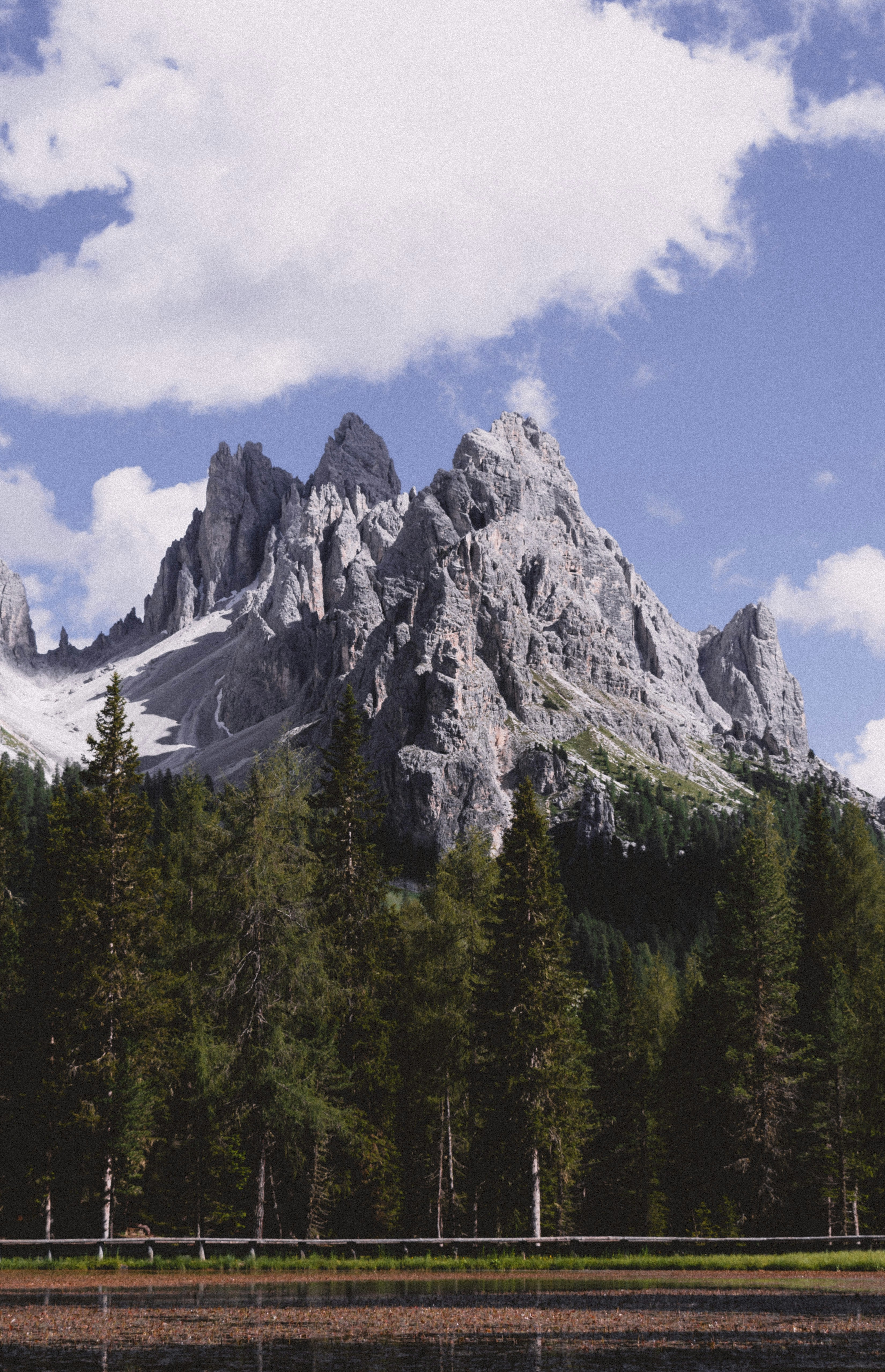 Green pine trees near mountain under blue sky during daytime photo ...