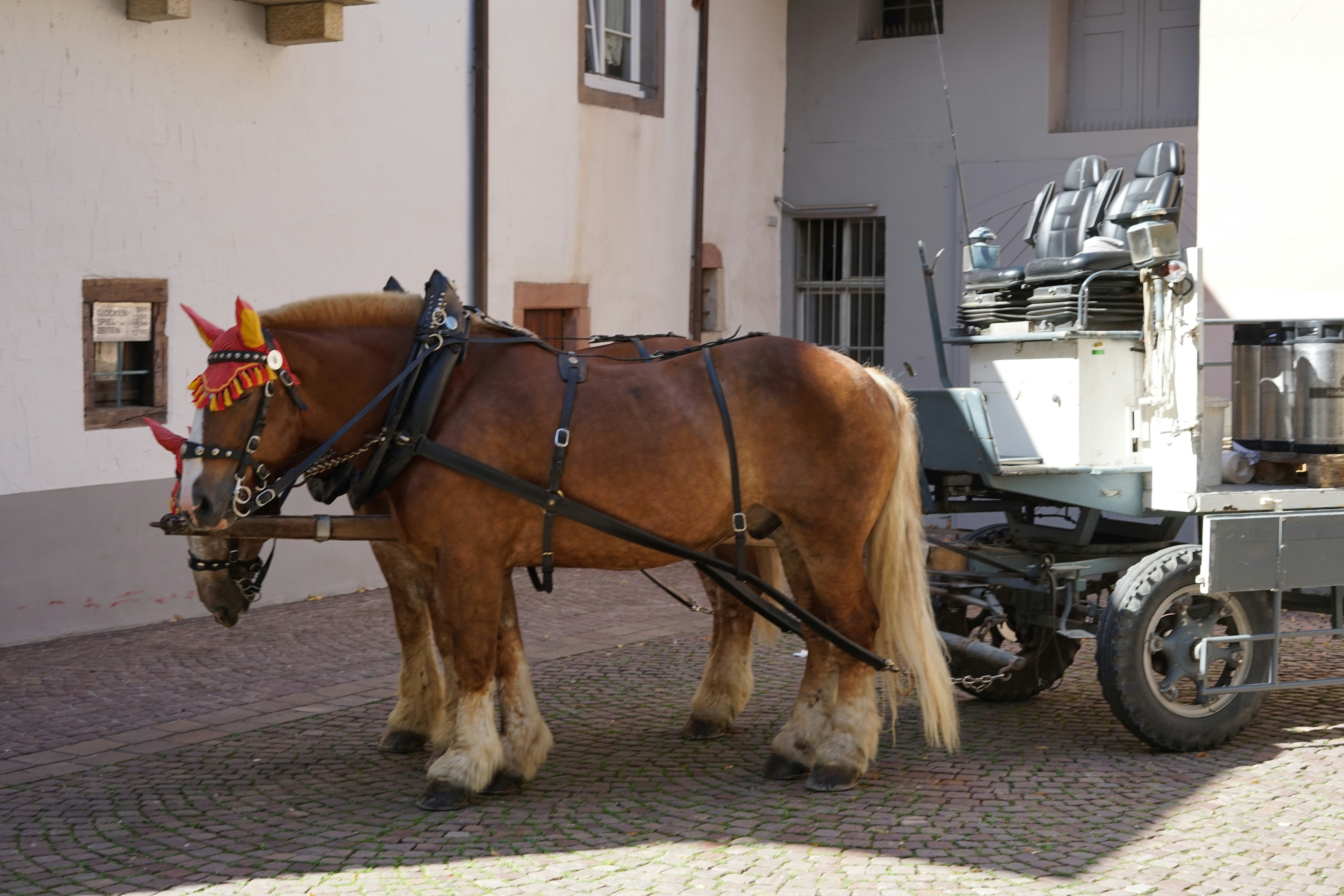 brown horse with carriage on road during daytime