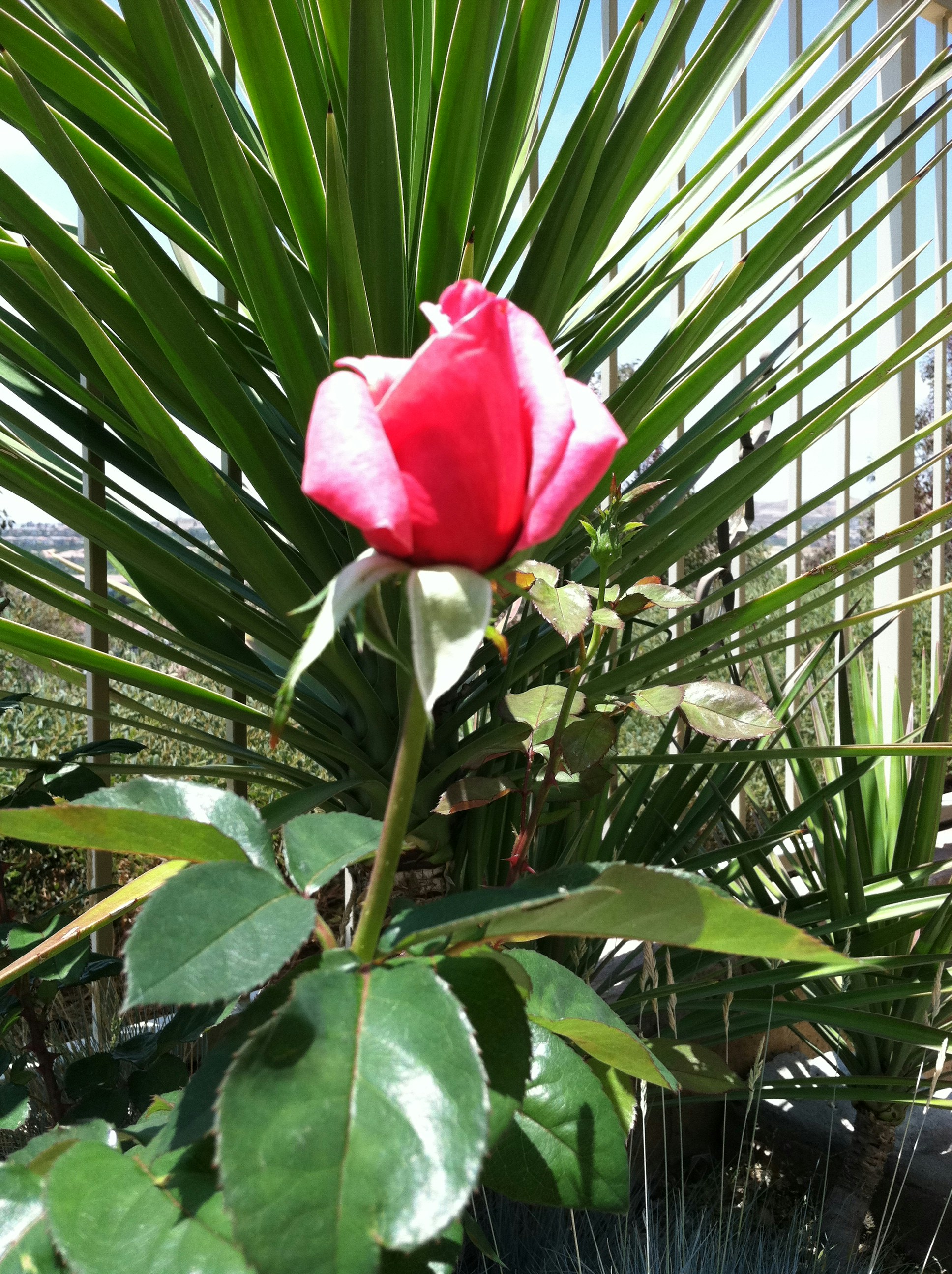 Melancholy Clown (@melancholyclown) | Komunitas Foto Unsplash