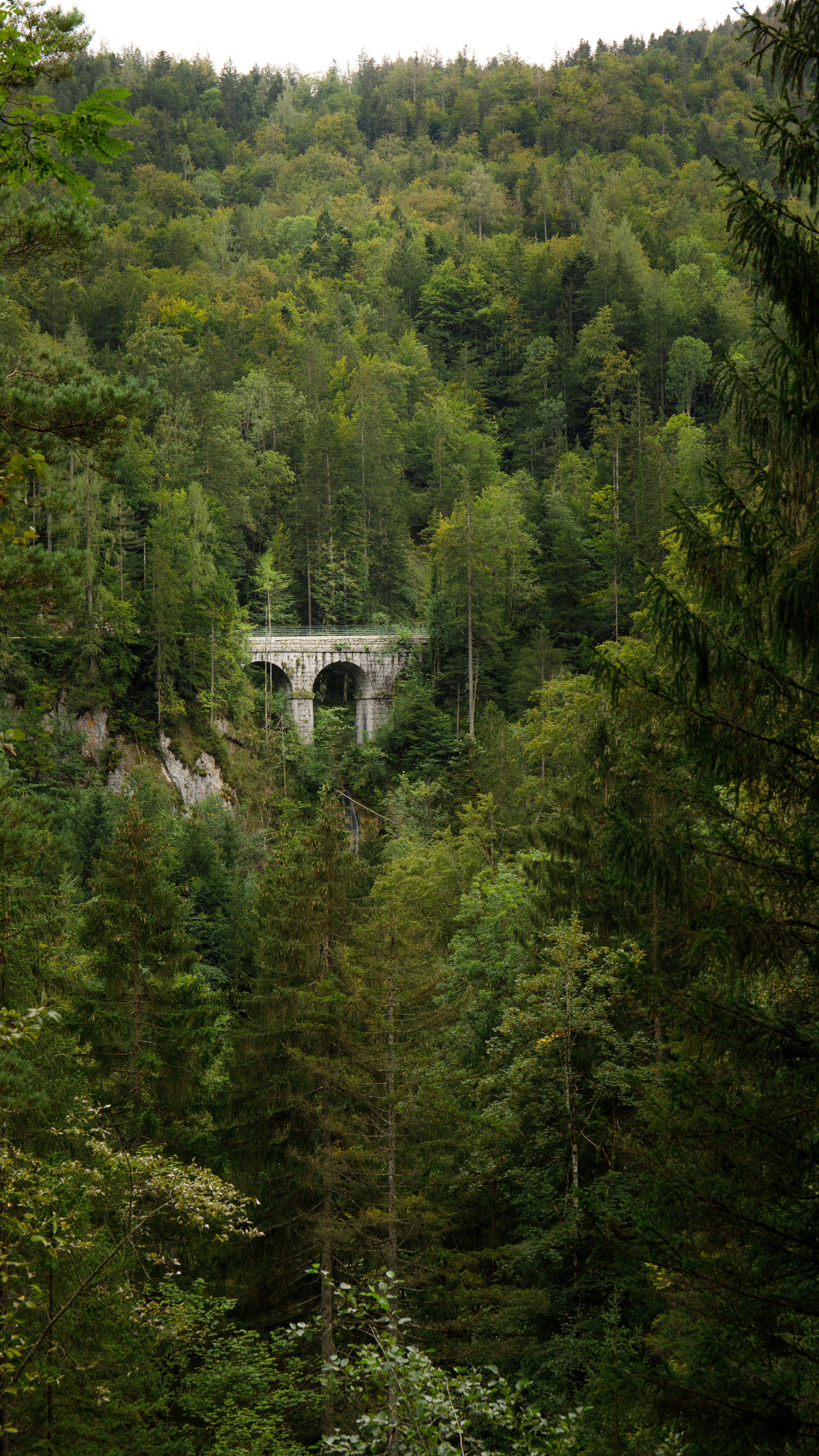 An ancient stone bridge nestled among dense forest foliage, showcasing the harmony between human engineering and the natural landscape.