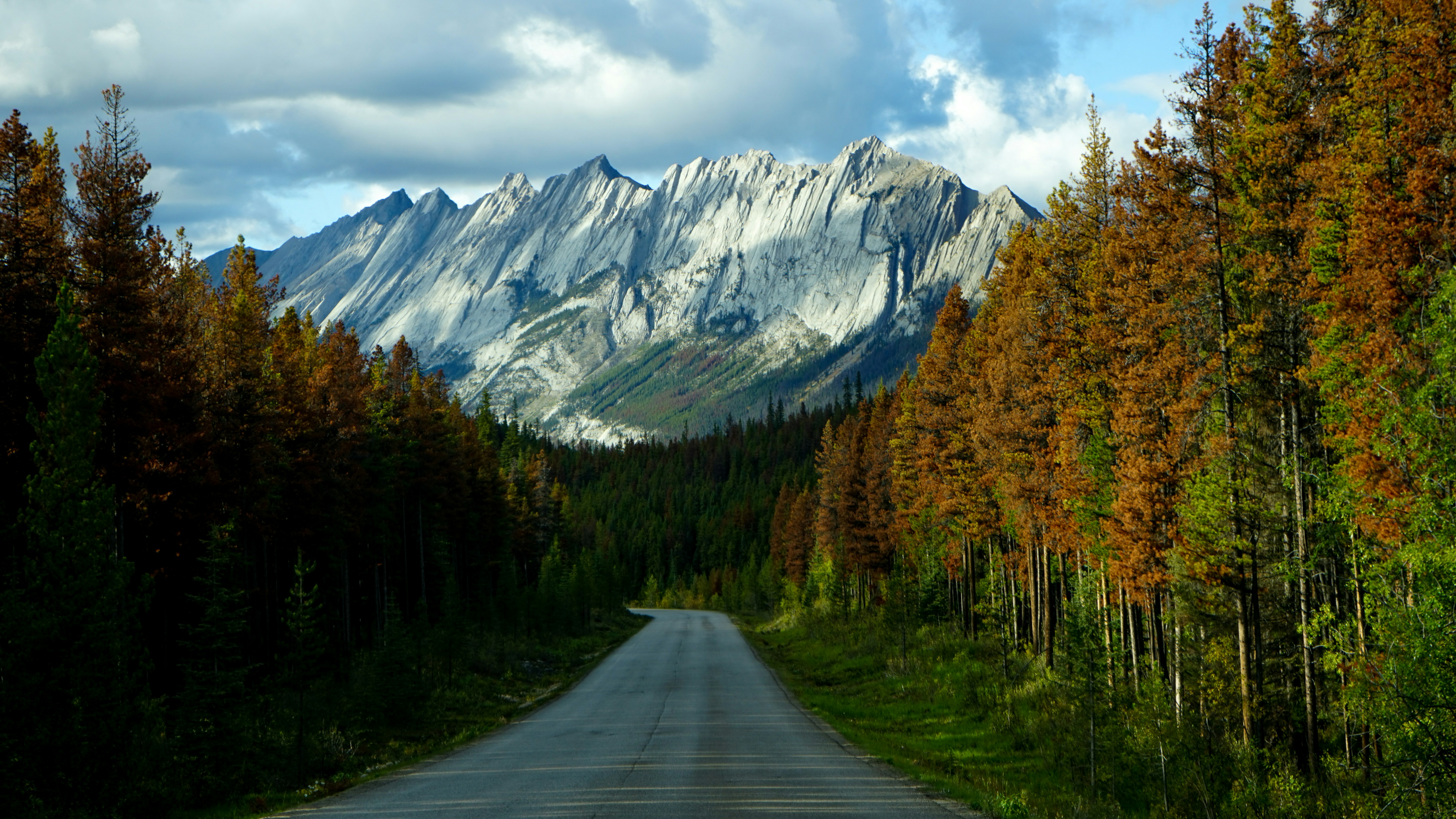 Autumn Road to the Mountain Crest