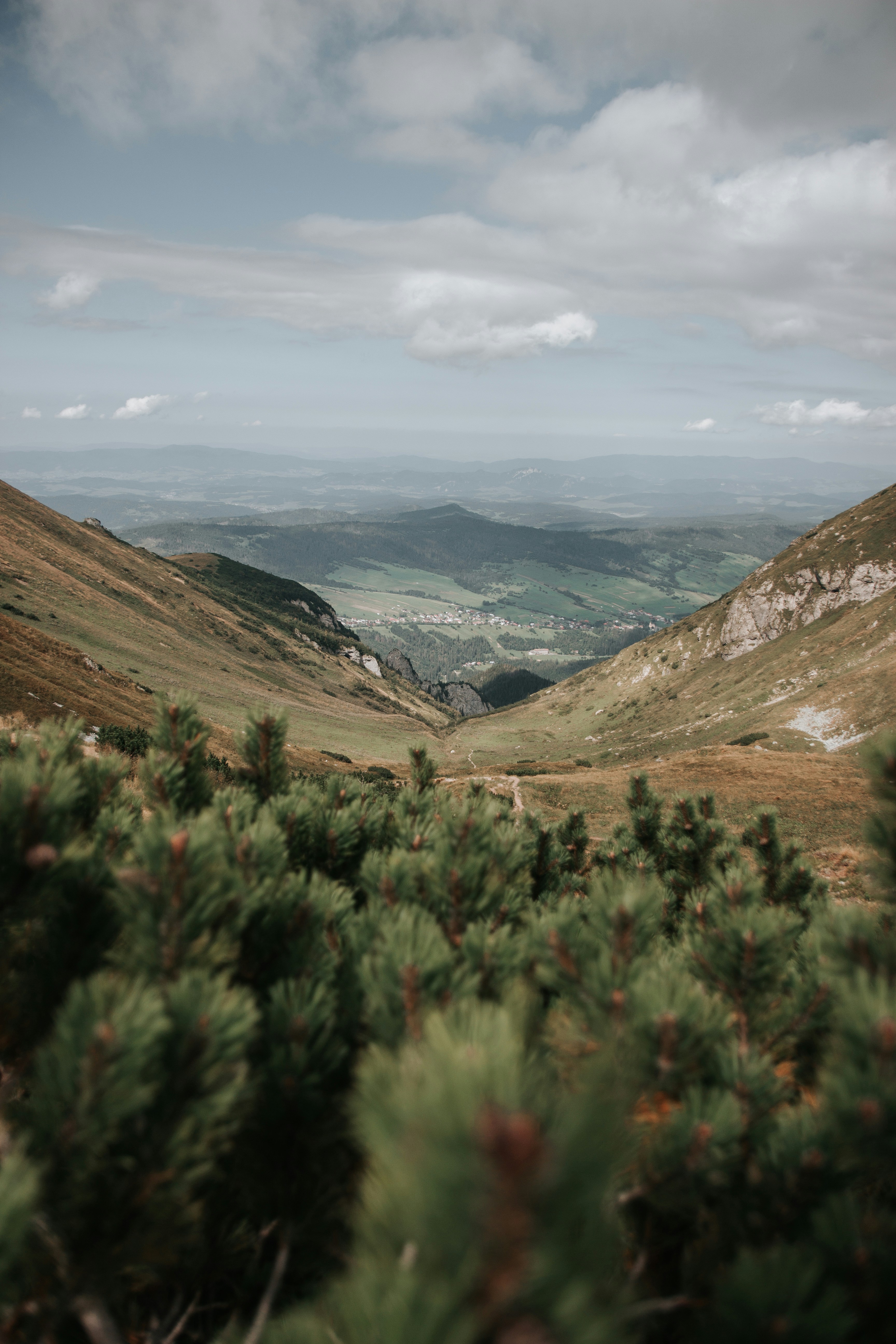 Verdant Valleys: A Journey Through Nature's Embrace