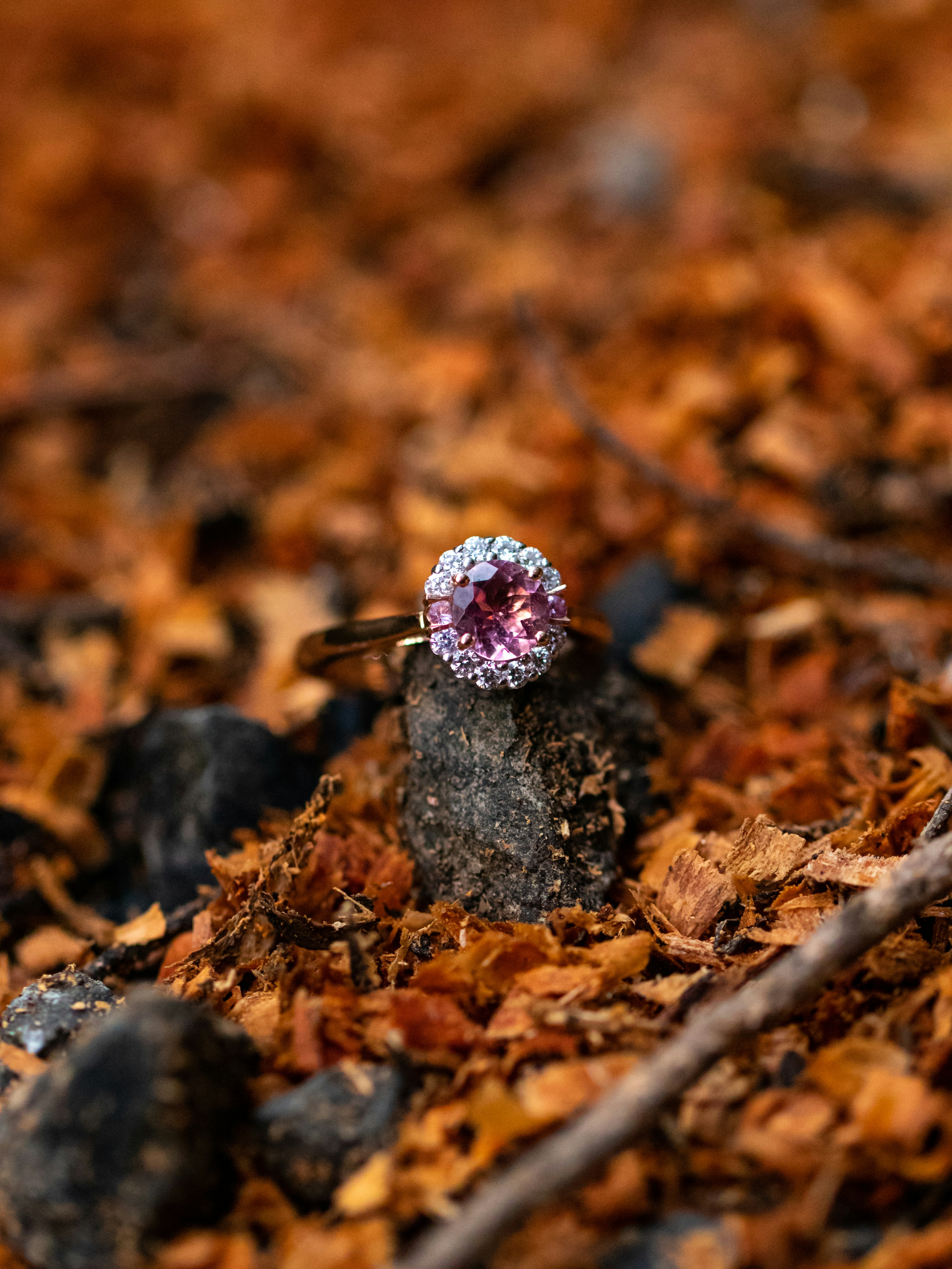 Amethyst Halo on a Charred Rock Amid Autumn Leaves