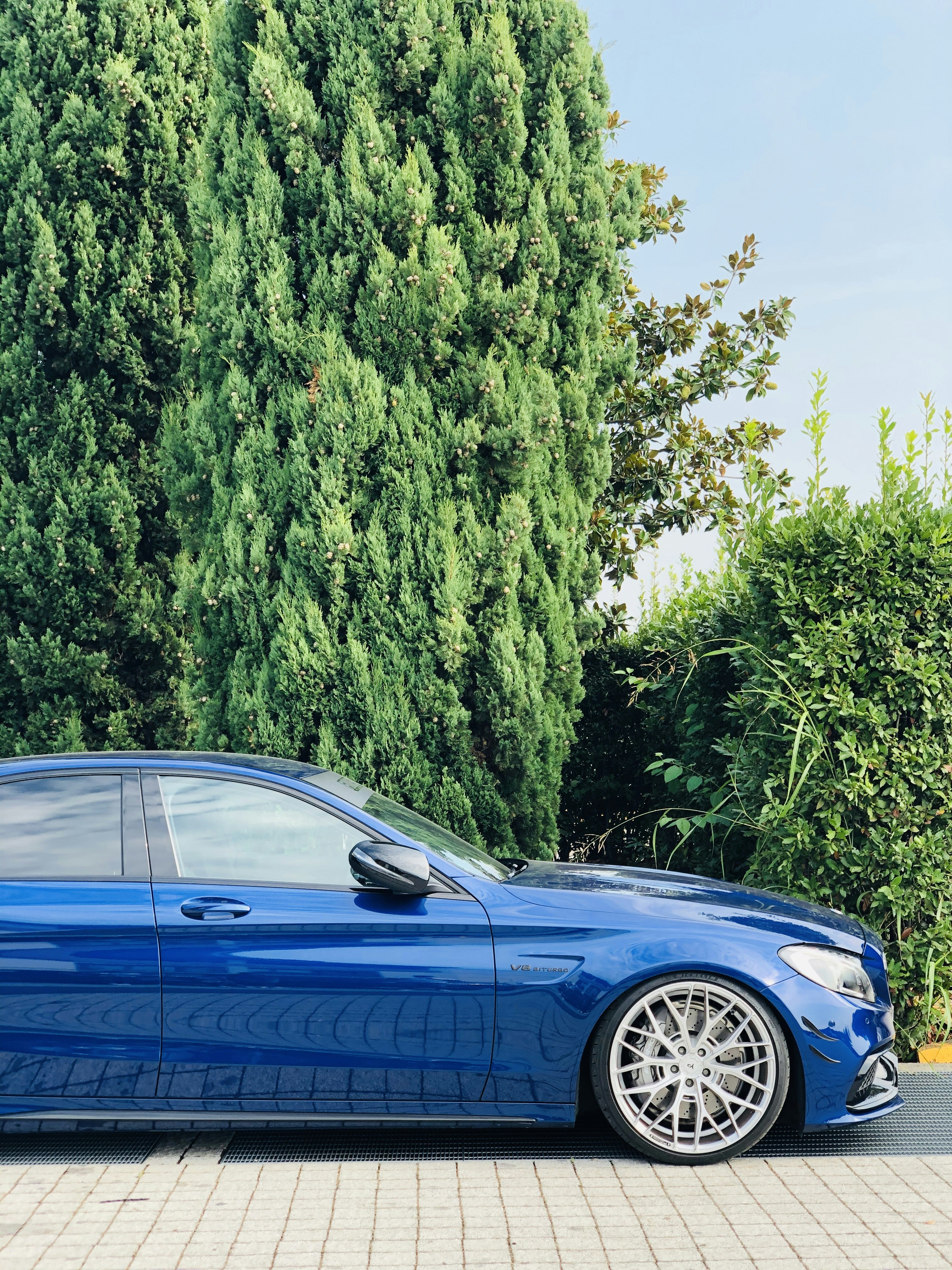 Cerulean Stance: A Blue Sedan Framed by Verdant Foliage