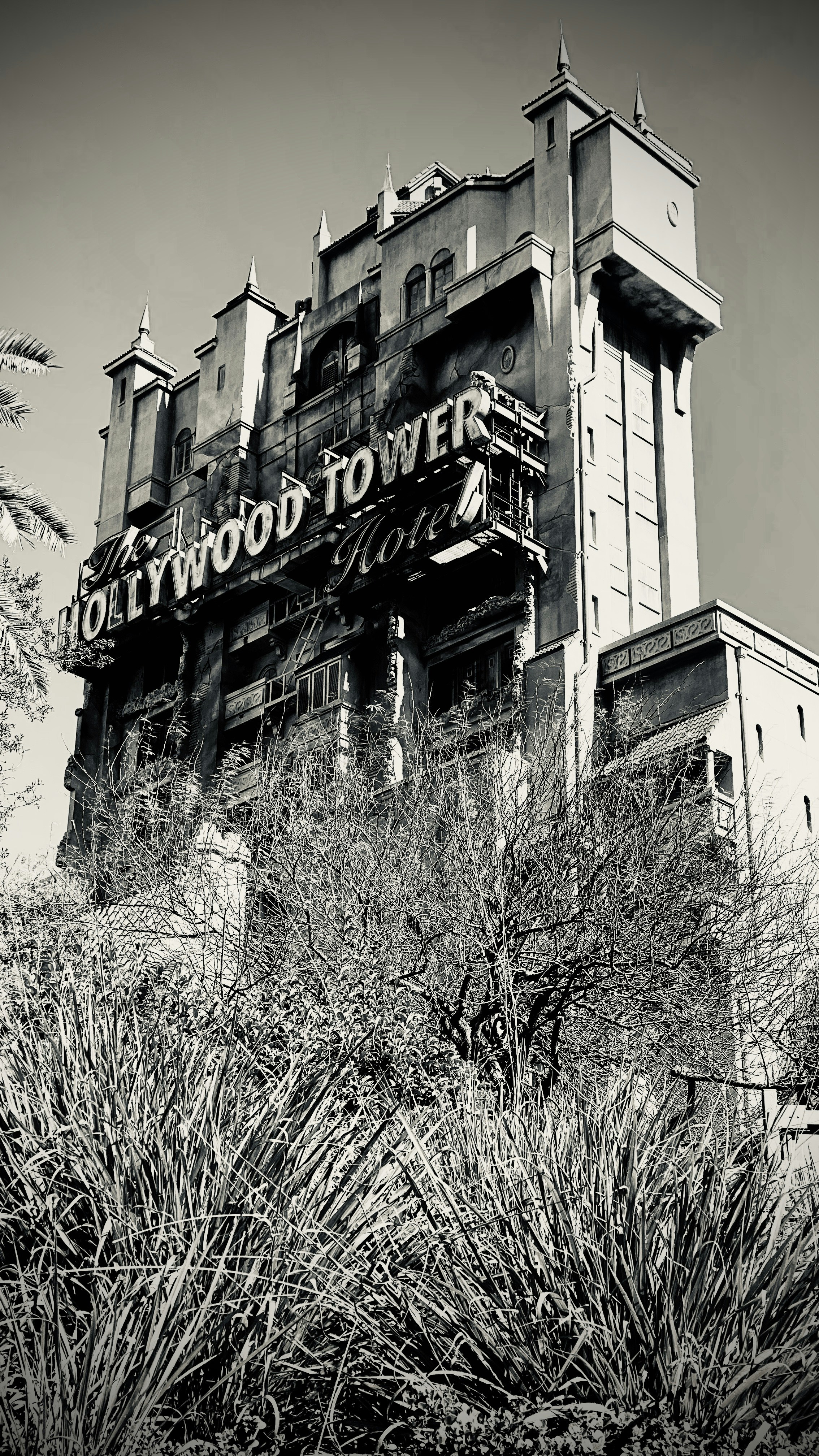 The Hollywood Tower Hotel looms ominously, its vintage architecture and weathered signage hinting at forgotten stories. The surrounding foliage adds a touch of nature to this iconic structure.