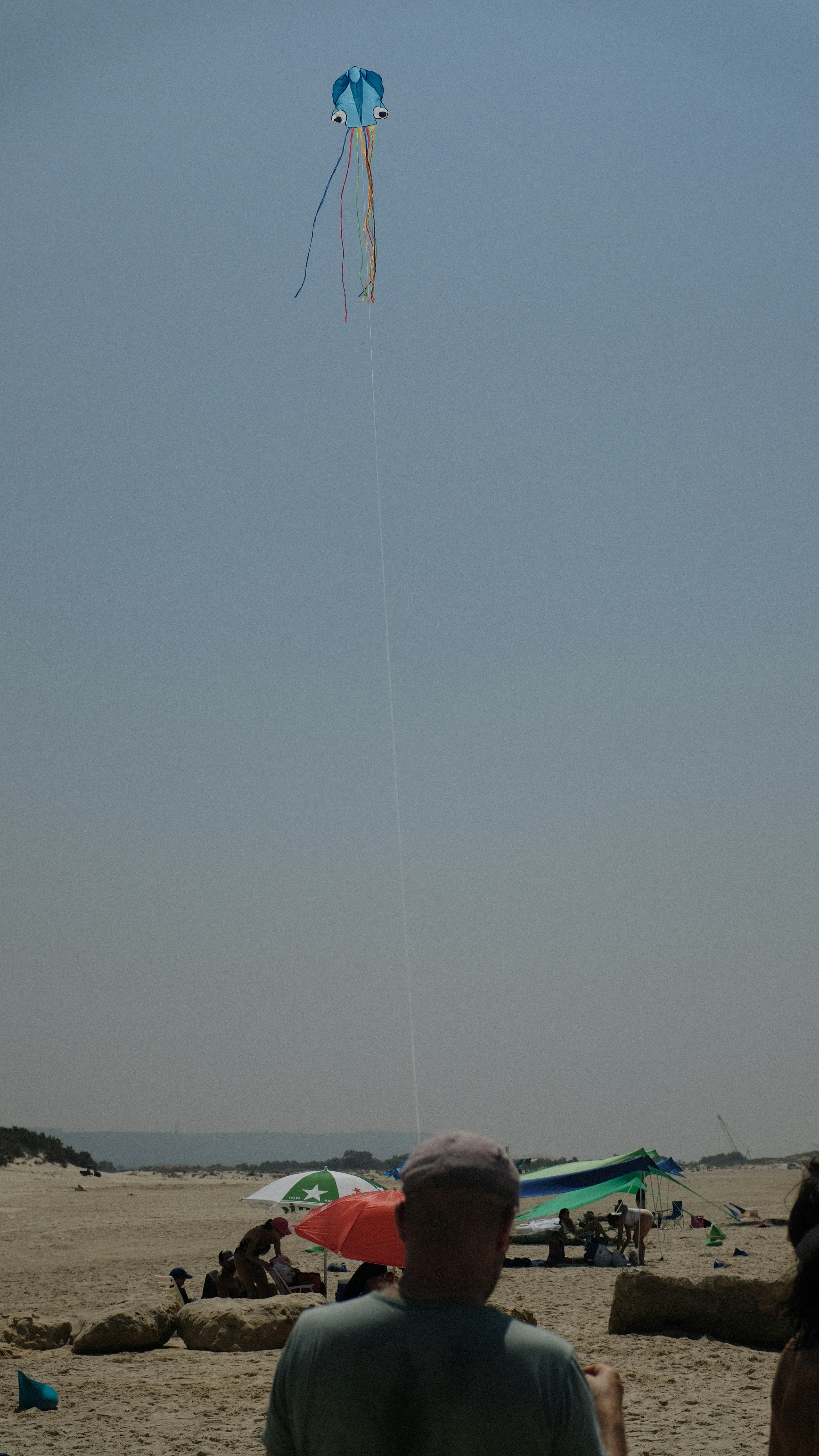Whimsical Sky Dance: A Kite's Playful Ascent