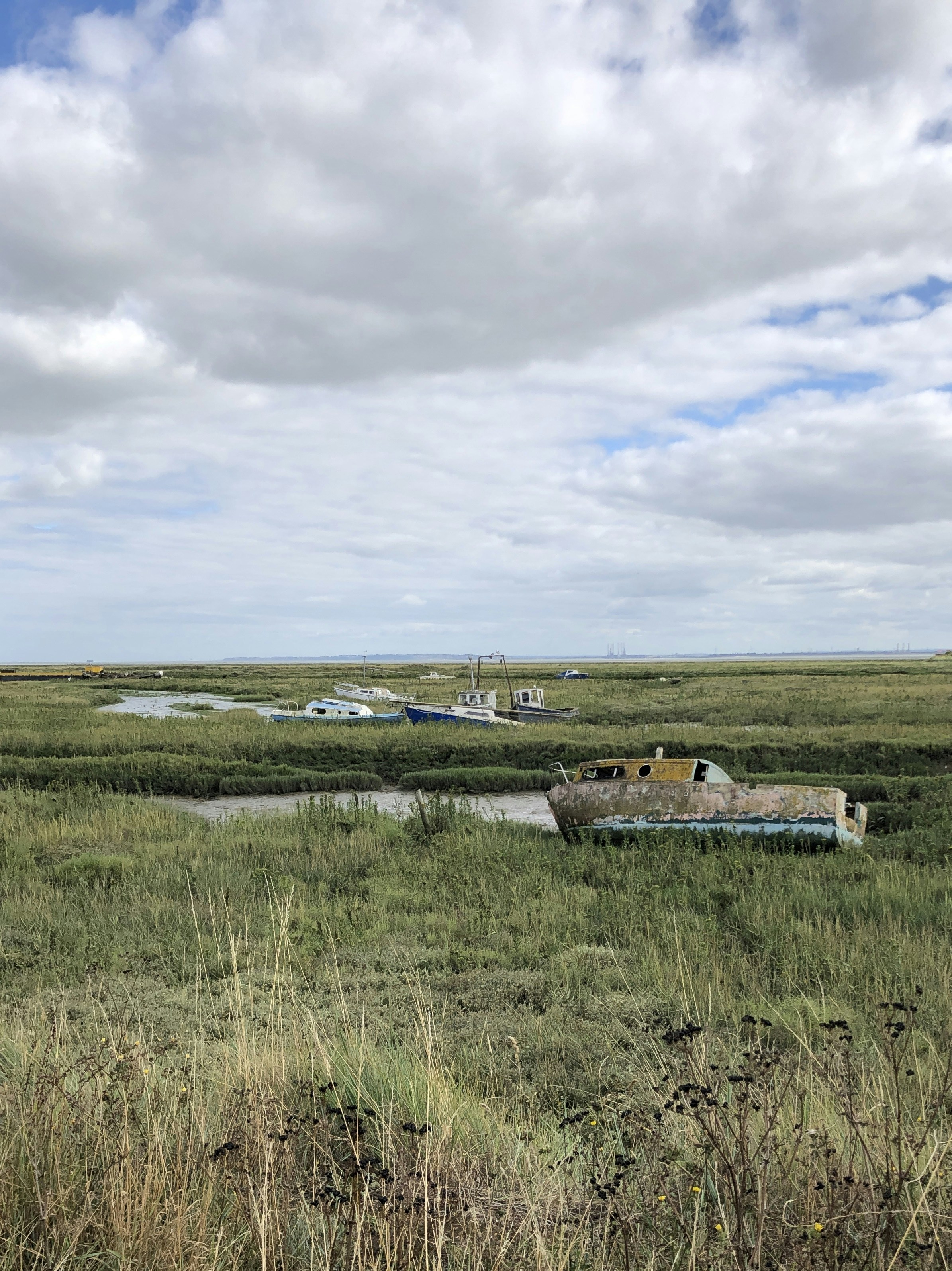 Rusting boats rest in a grassy marsh under a partly cloudy sky.