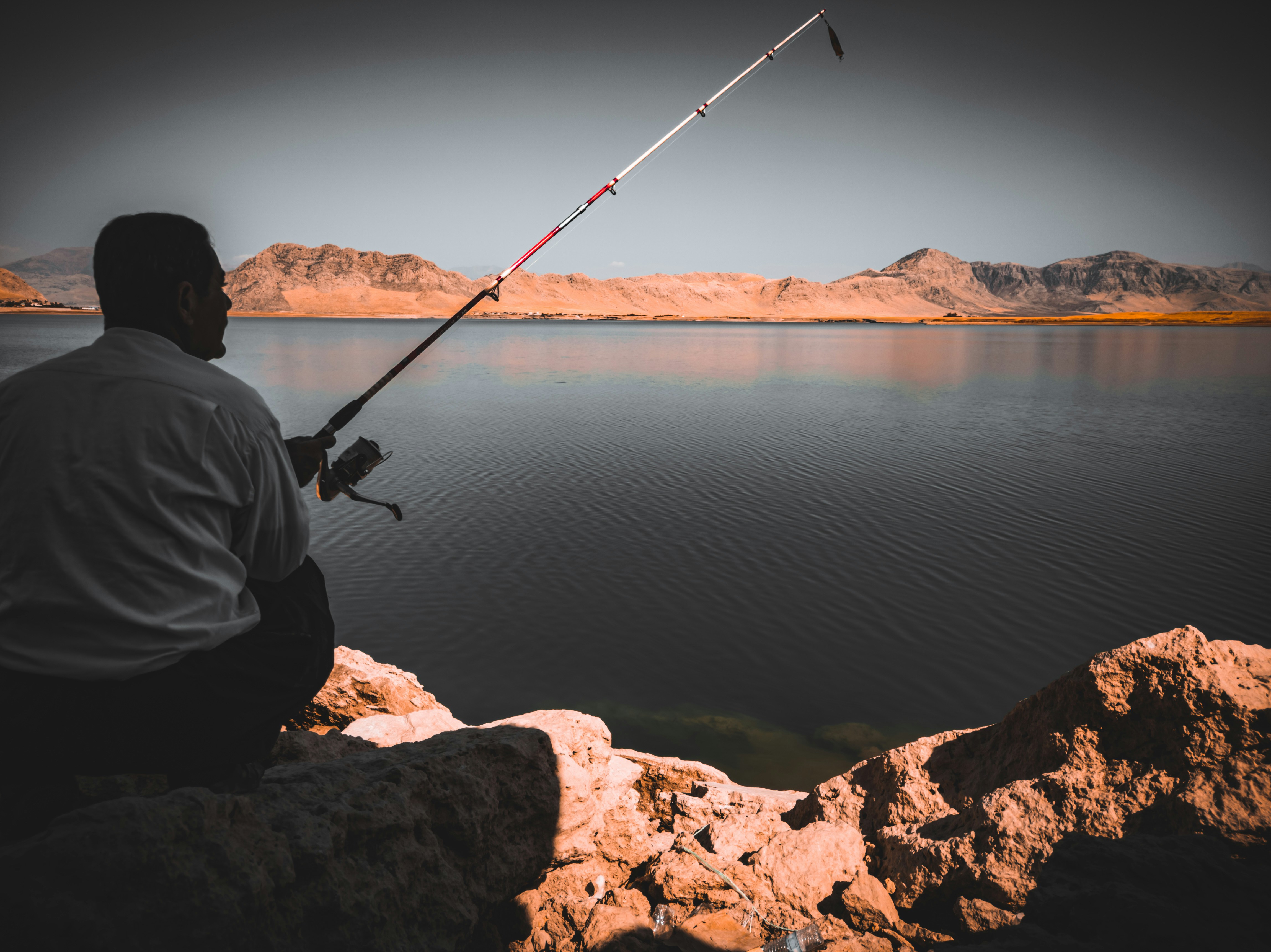 Stillness at the Tidal Edge: Angler on the Quiet Shore