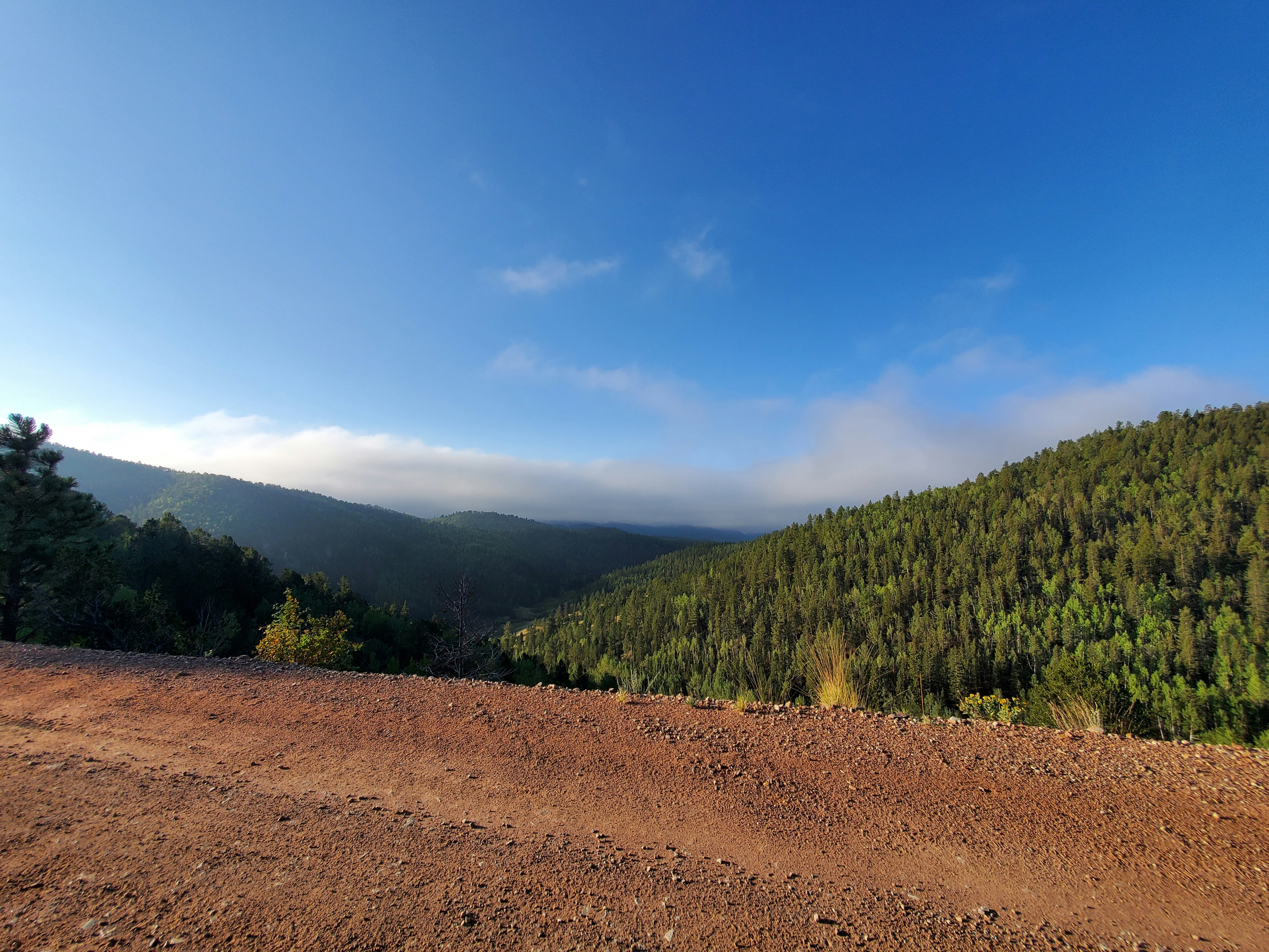 Ridgeline Overlook: Dirt Road Framing a Fern-topped Valley