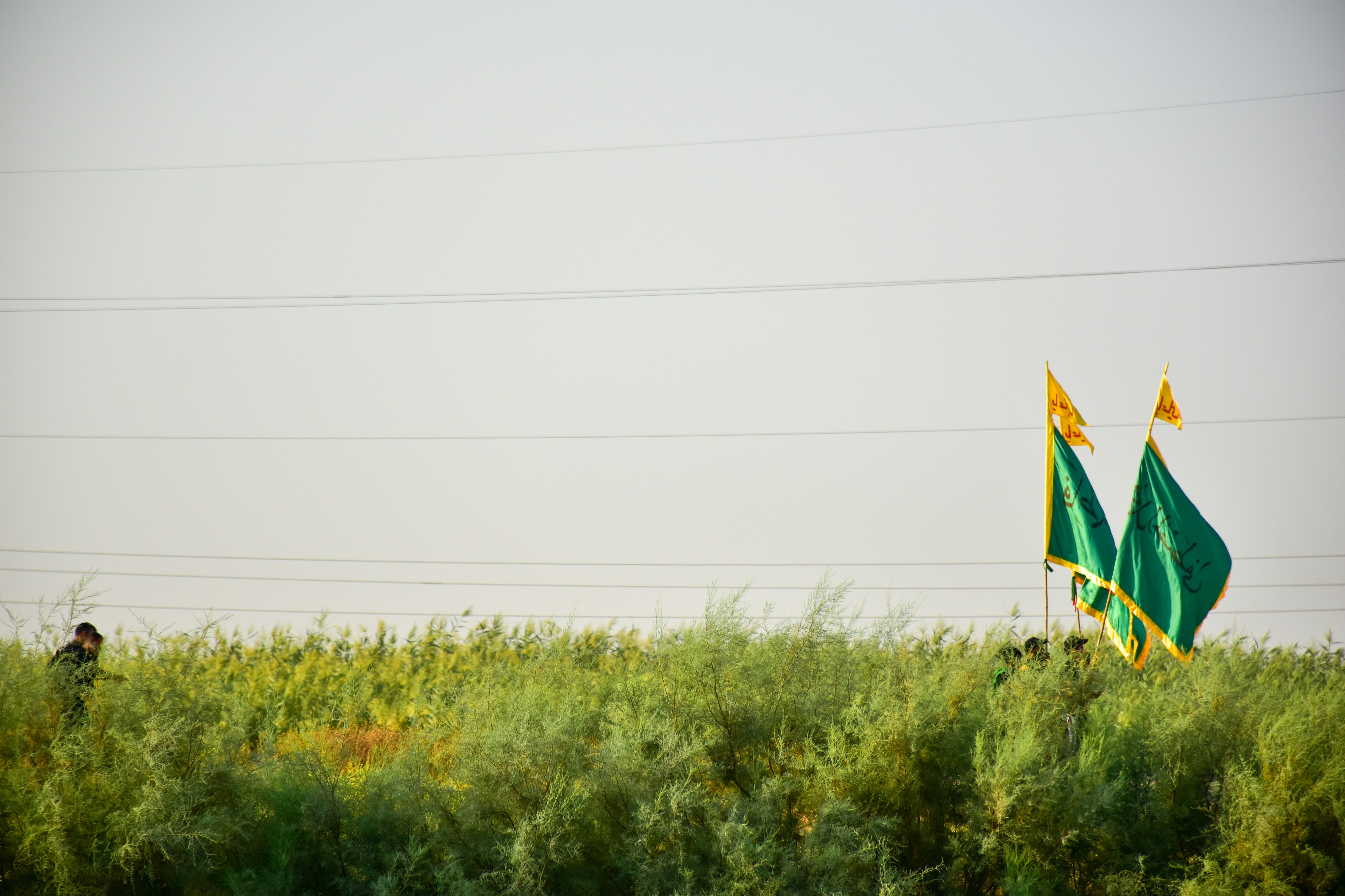Green grass field under white sky during daytime photo – Free Karbala ...