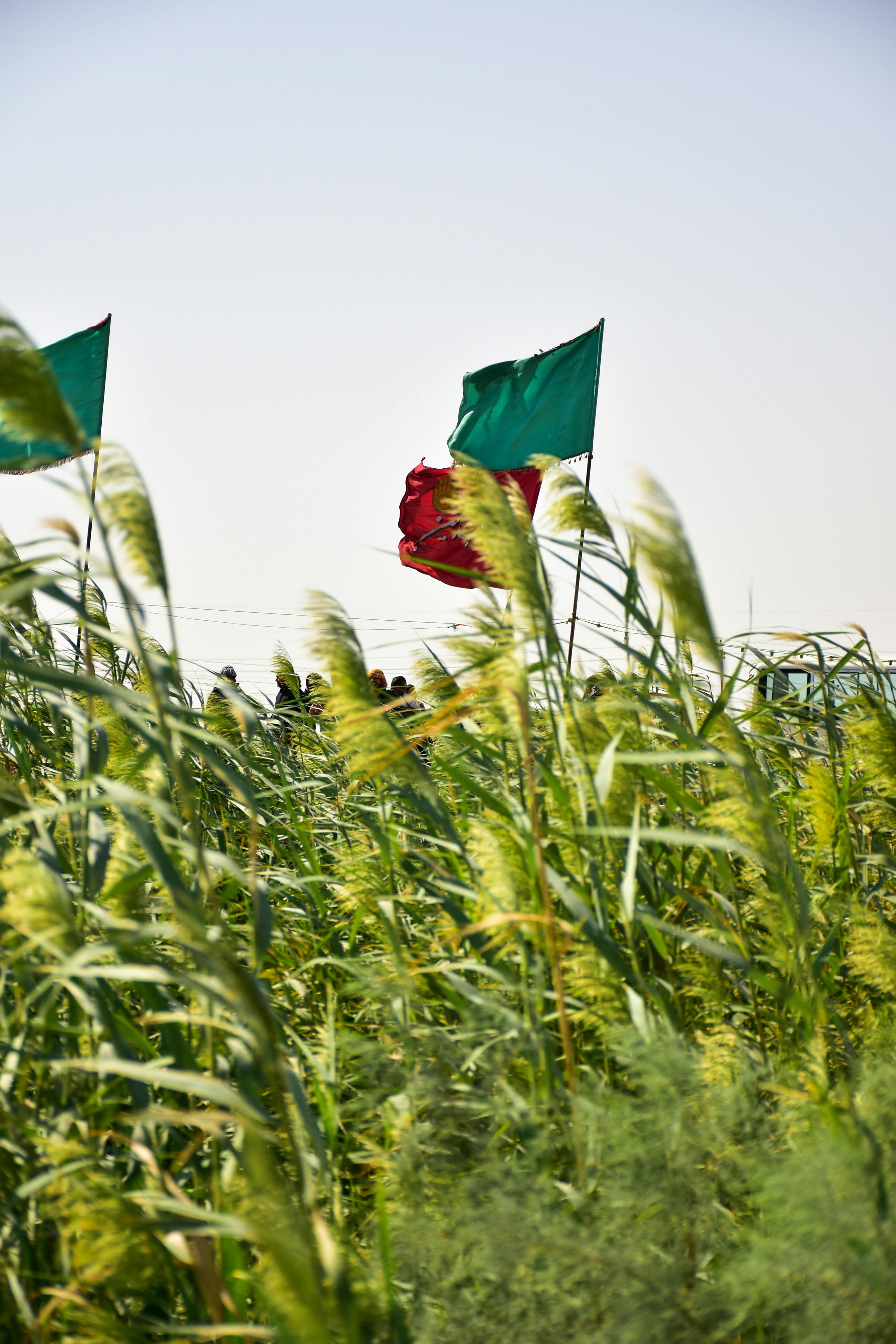 Green and red flag on green grass field during daytime photo – Free ...