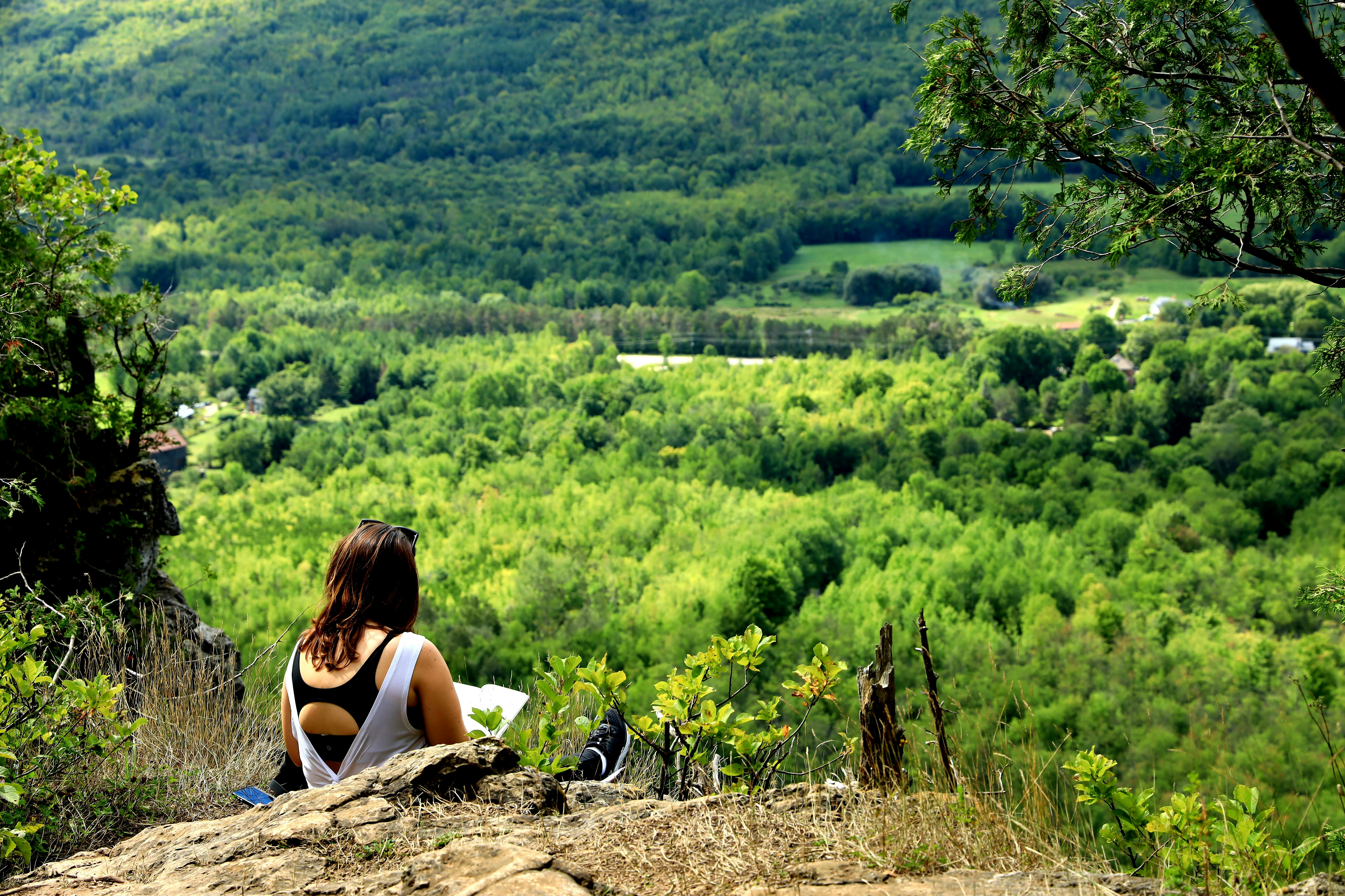 Watcher at the Edge: a lone reader with a valley-wide view