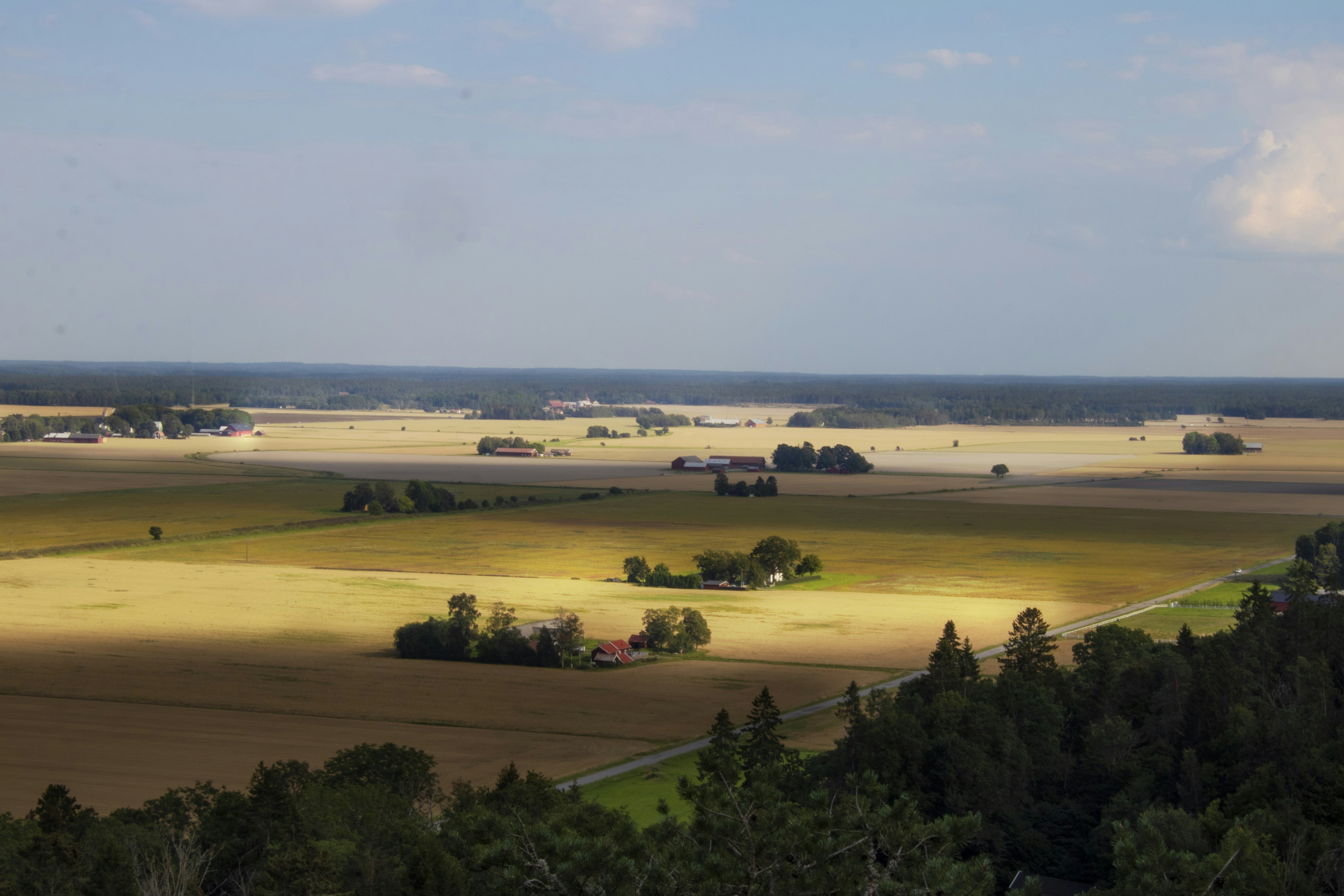 Flo Pictures | Download Free Images on Unsplash