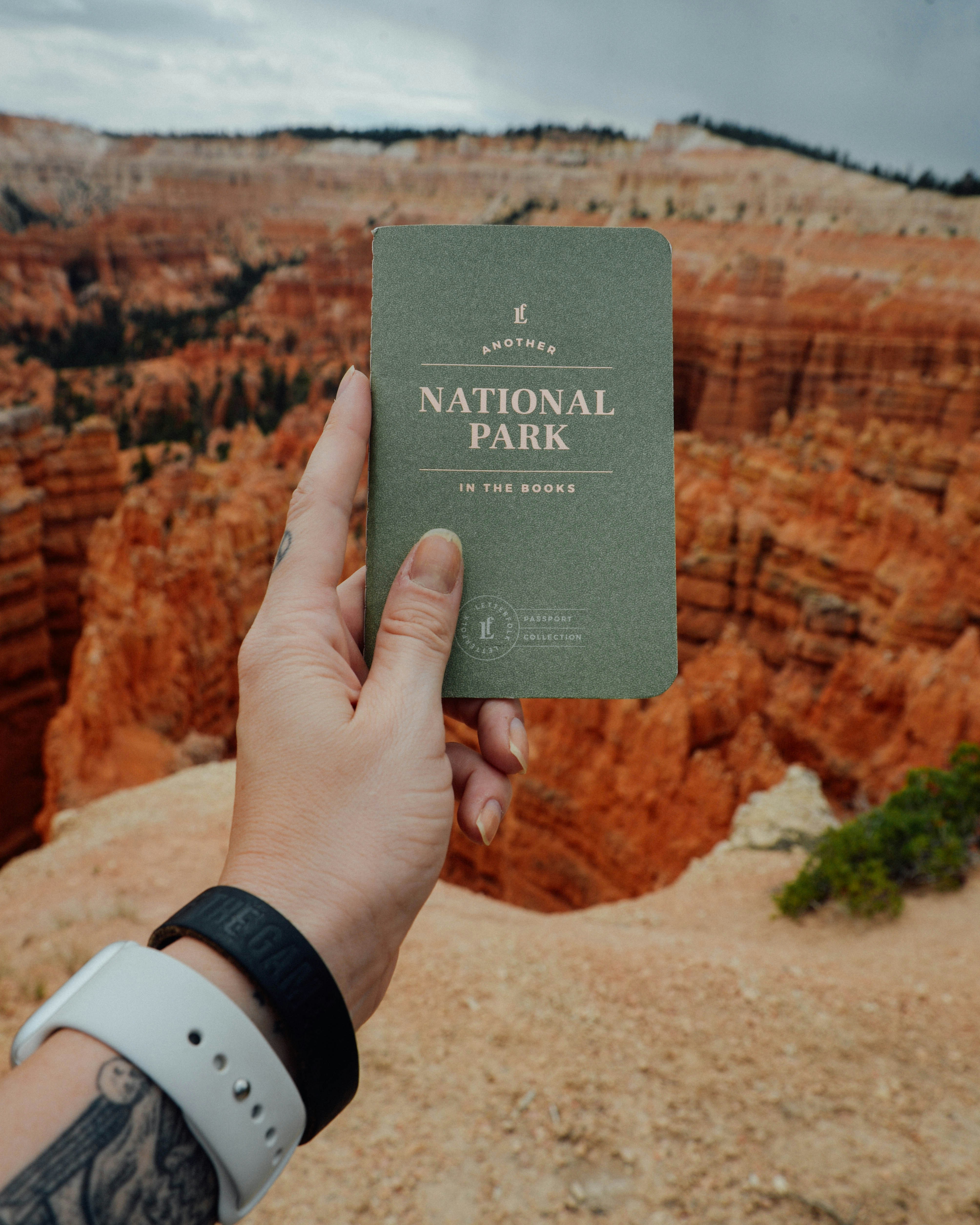 Passport Over the Painted Canyon: A Handheld Moment