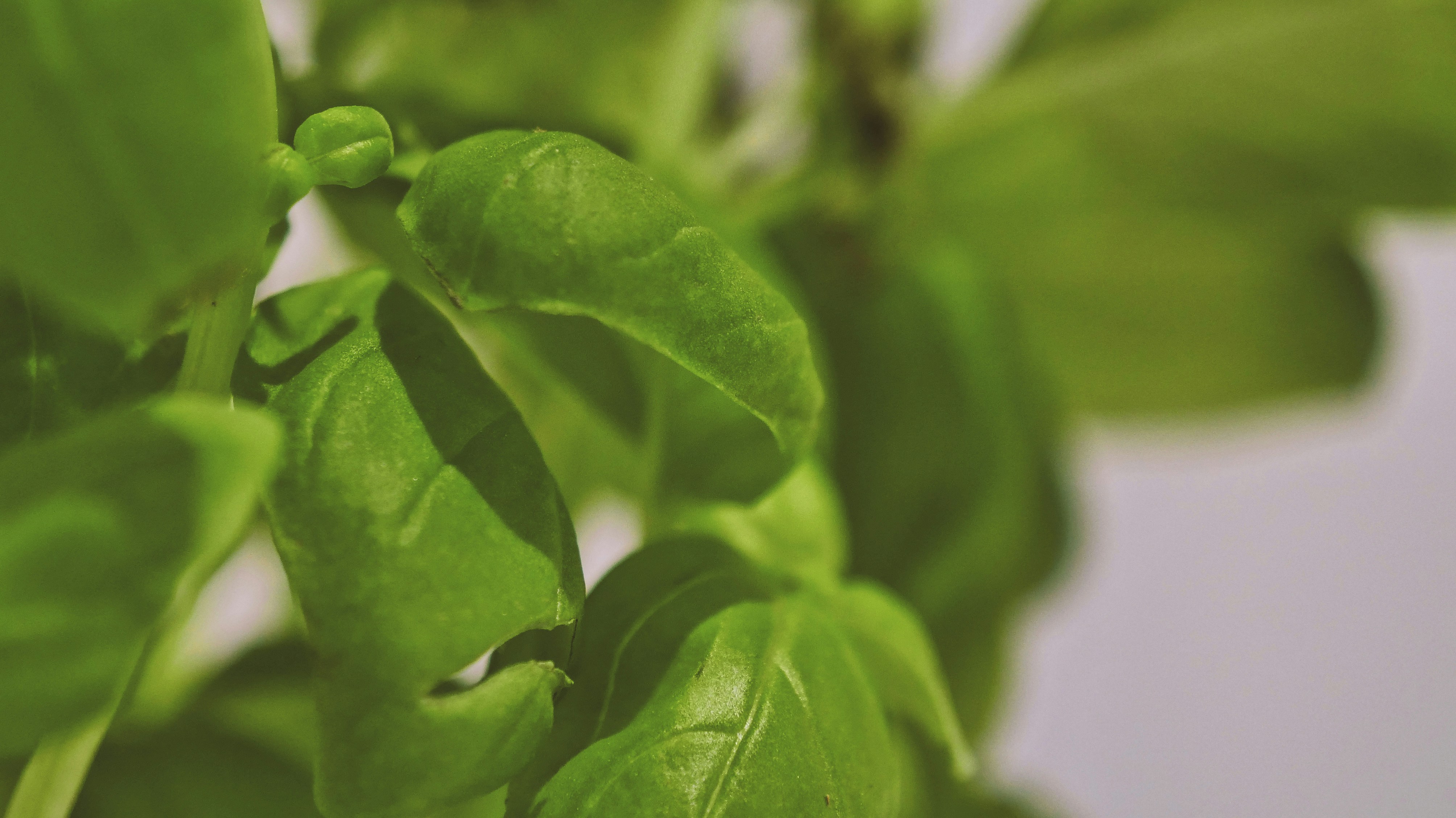 Austar Vannak (@austarvannak) | Unsplash Photo Community