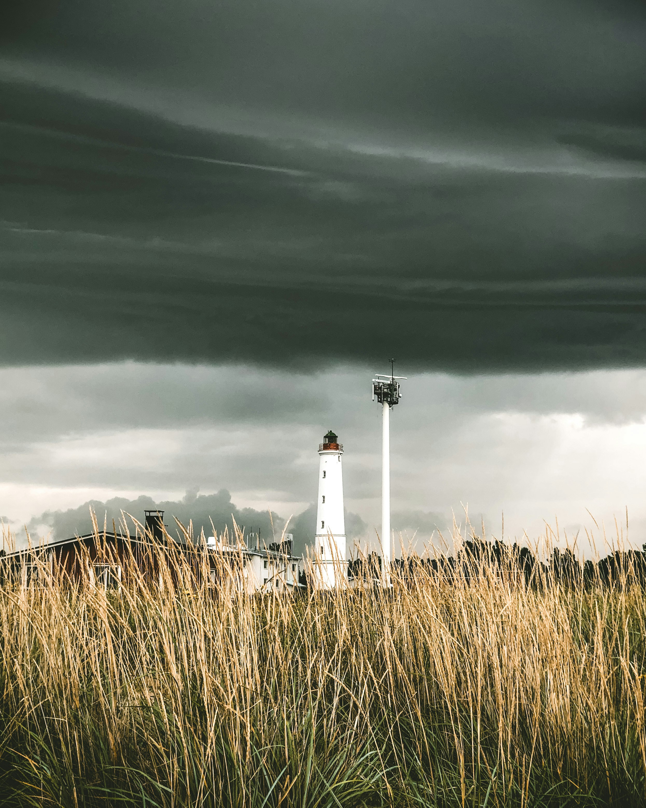 A lighthouse stands tall amidst tall grasses with dark, brooding clouds overhead, hinting at an impending storm.