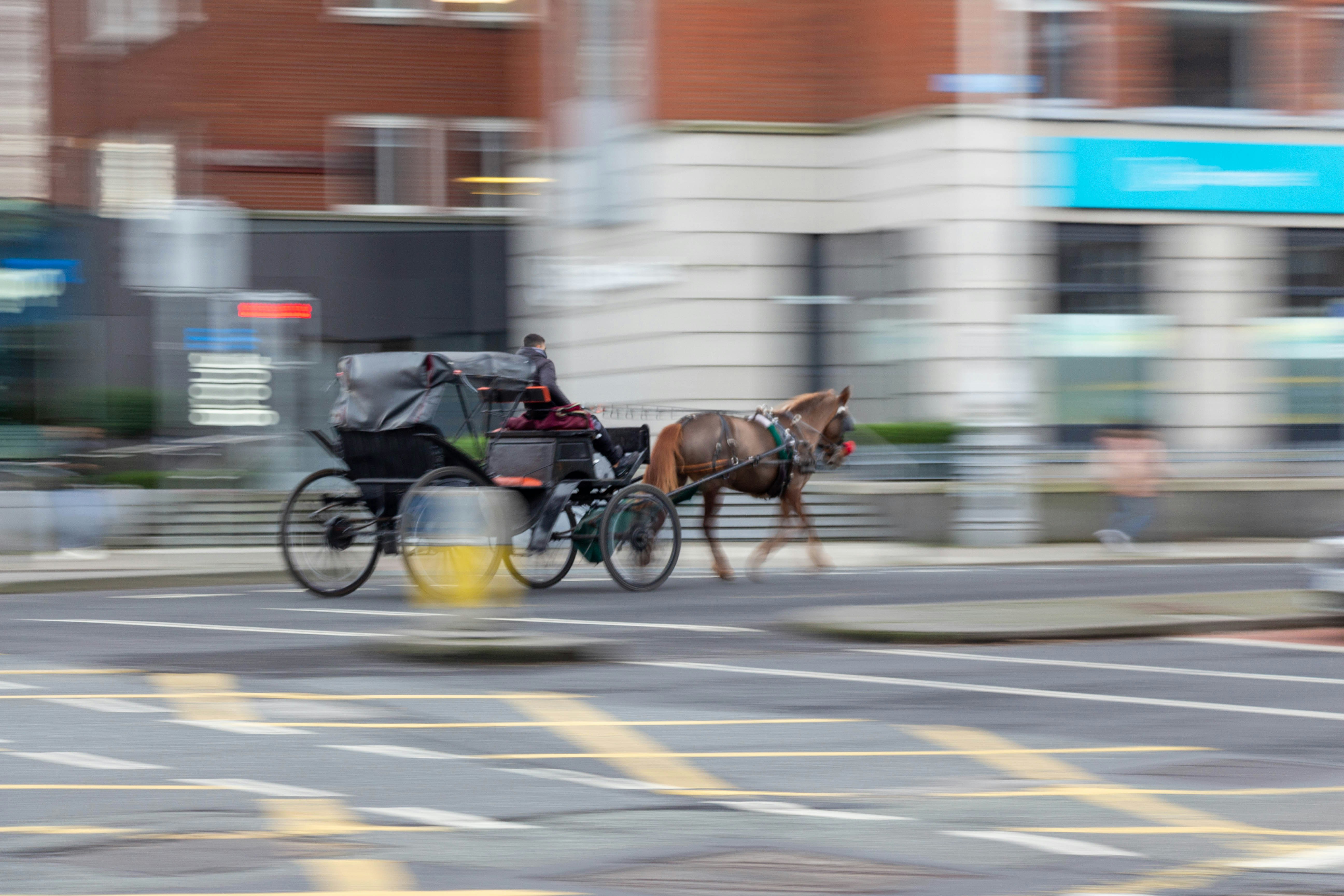 Urban Pulse in Motion: A Horse-Drawn Carriage Through a Blur of City Streets