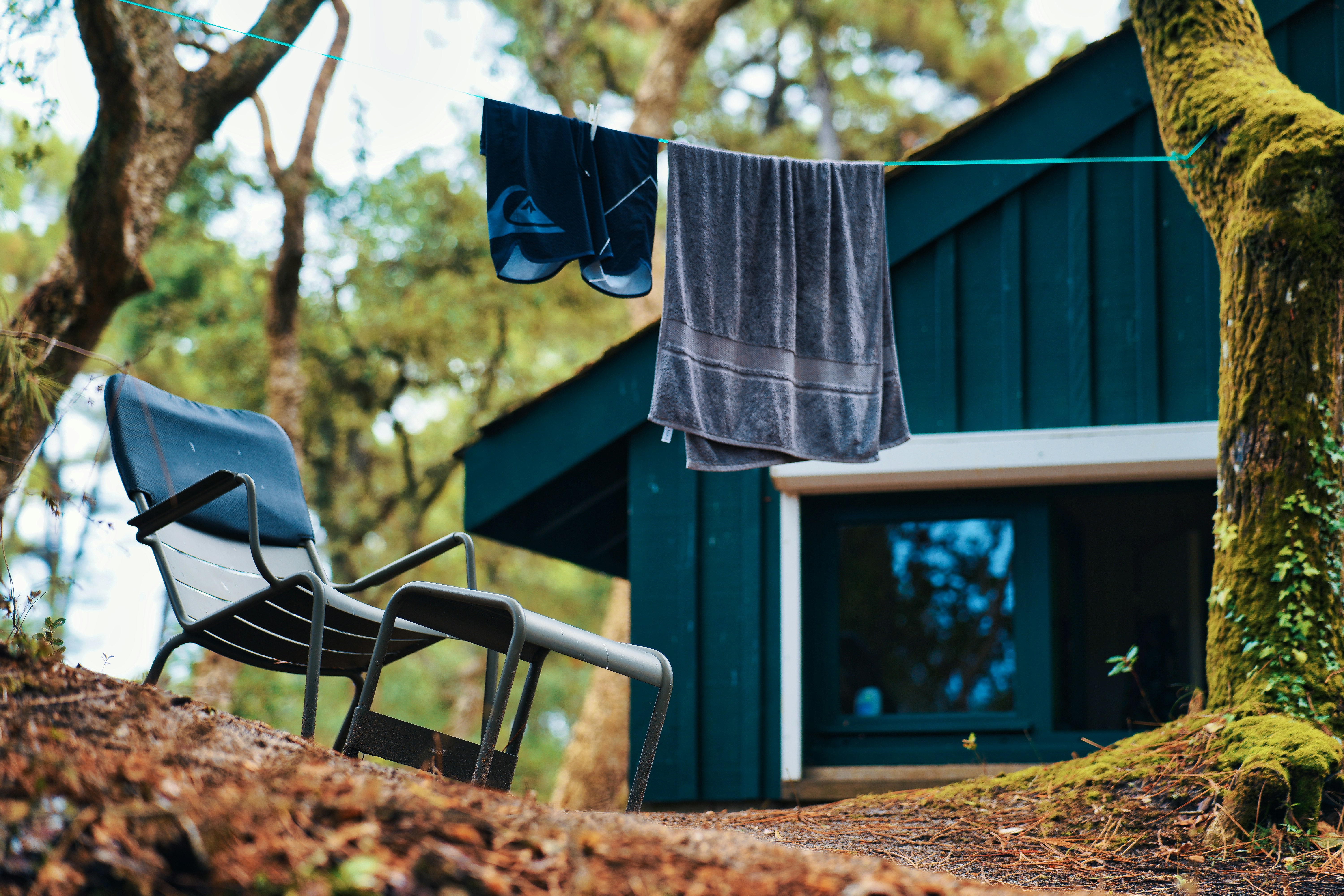 Teal Cabin in the Pines: Laundry Line and a Leaning Chair in Dappled Light