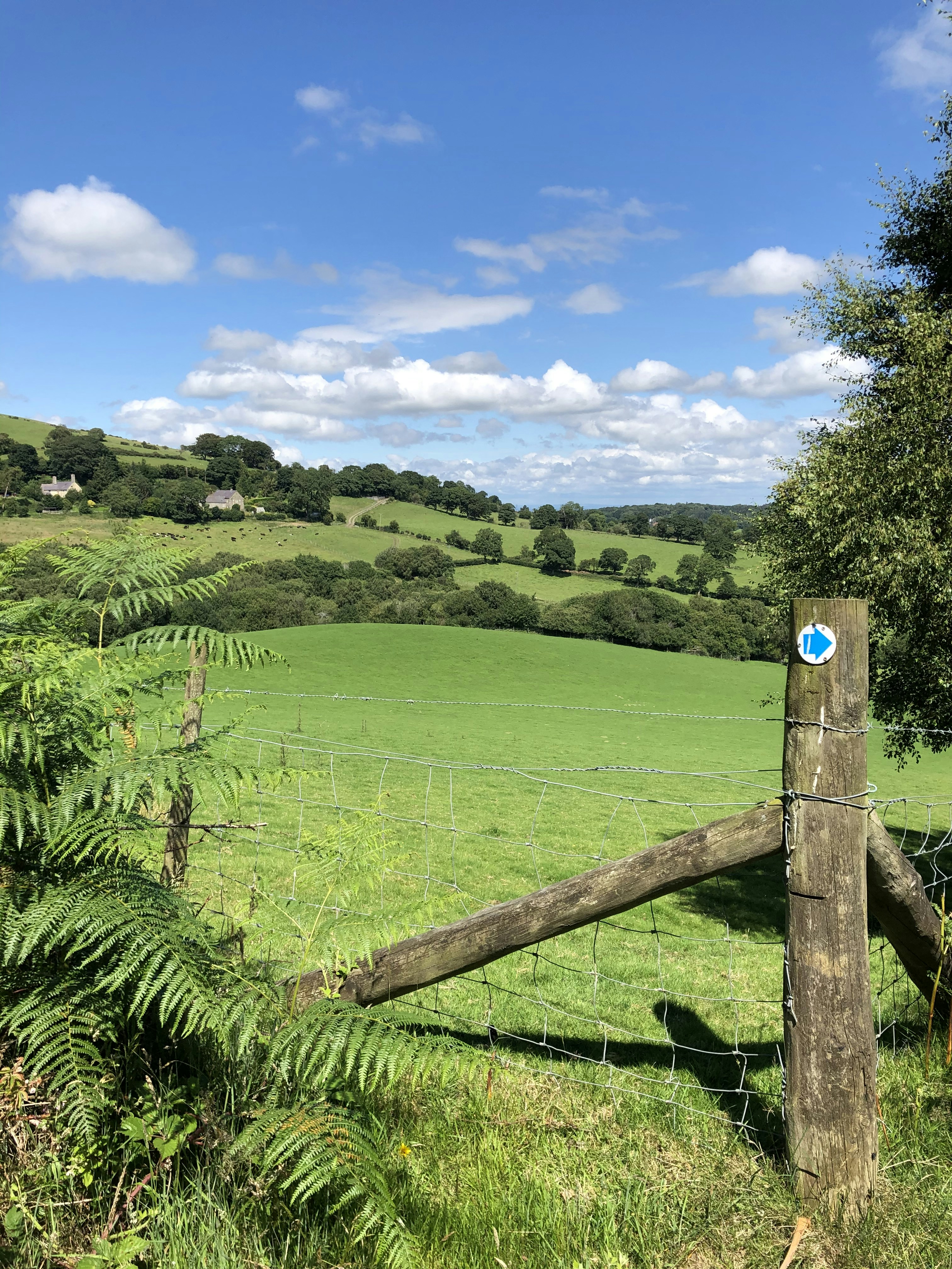 Blue Marker Gatepost Framing a Rolling Green Countryside