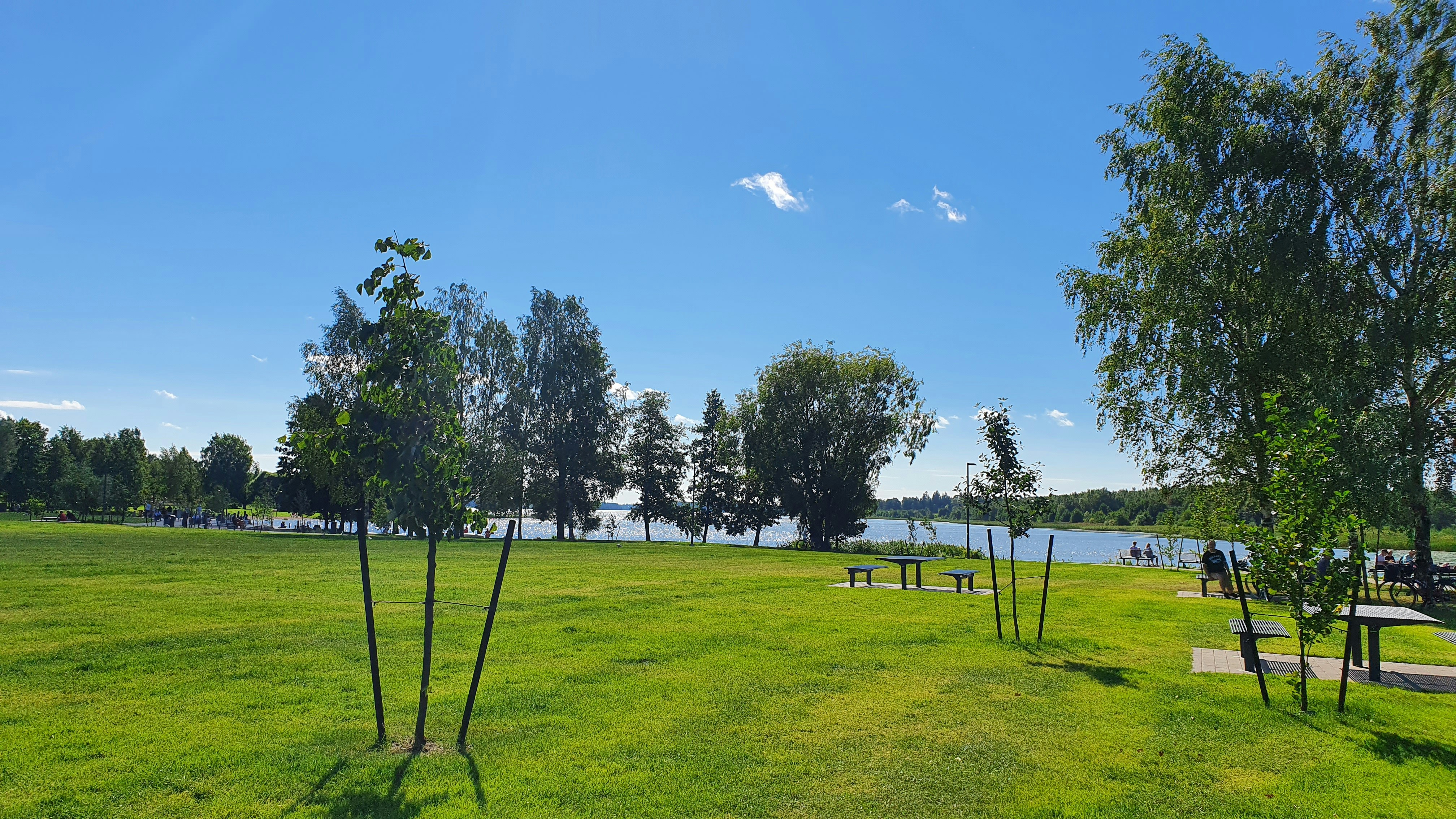 Lush green parkland with scattered trees under a bright blue sky, overlooking a tranquil lake.
