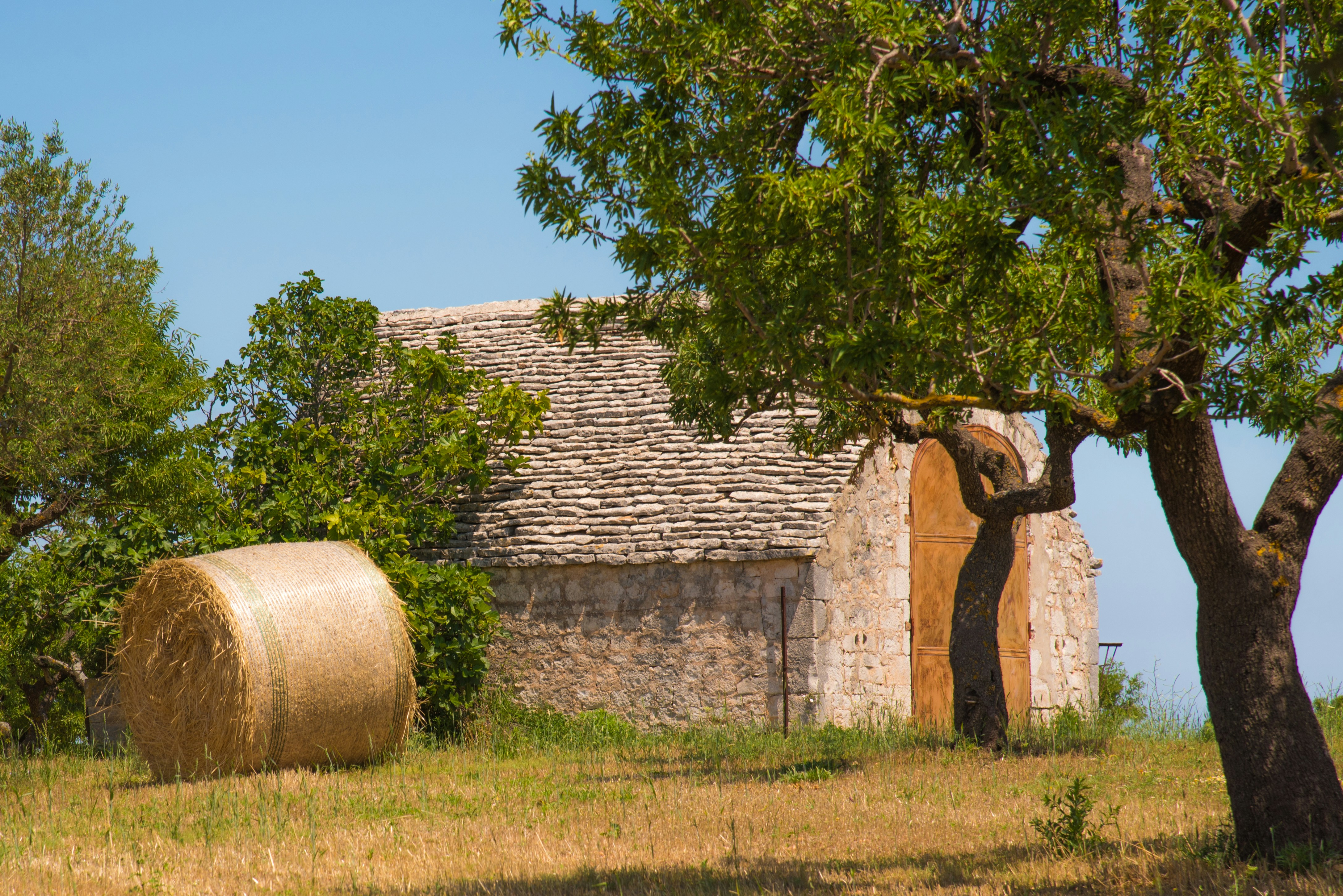 Old house located in Apulia region (South Italy) | brown brick wall near green trees during daytime