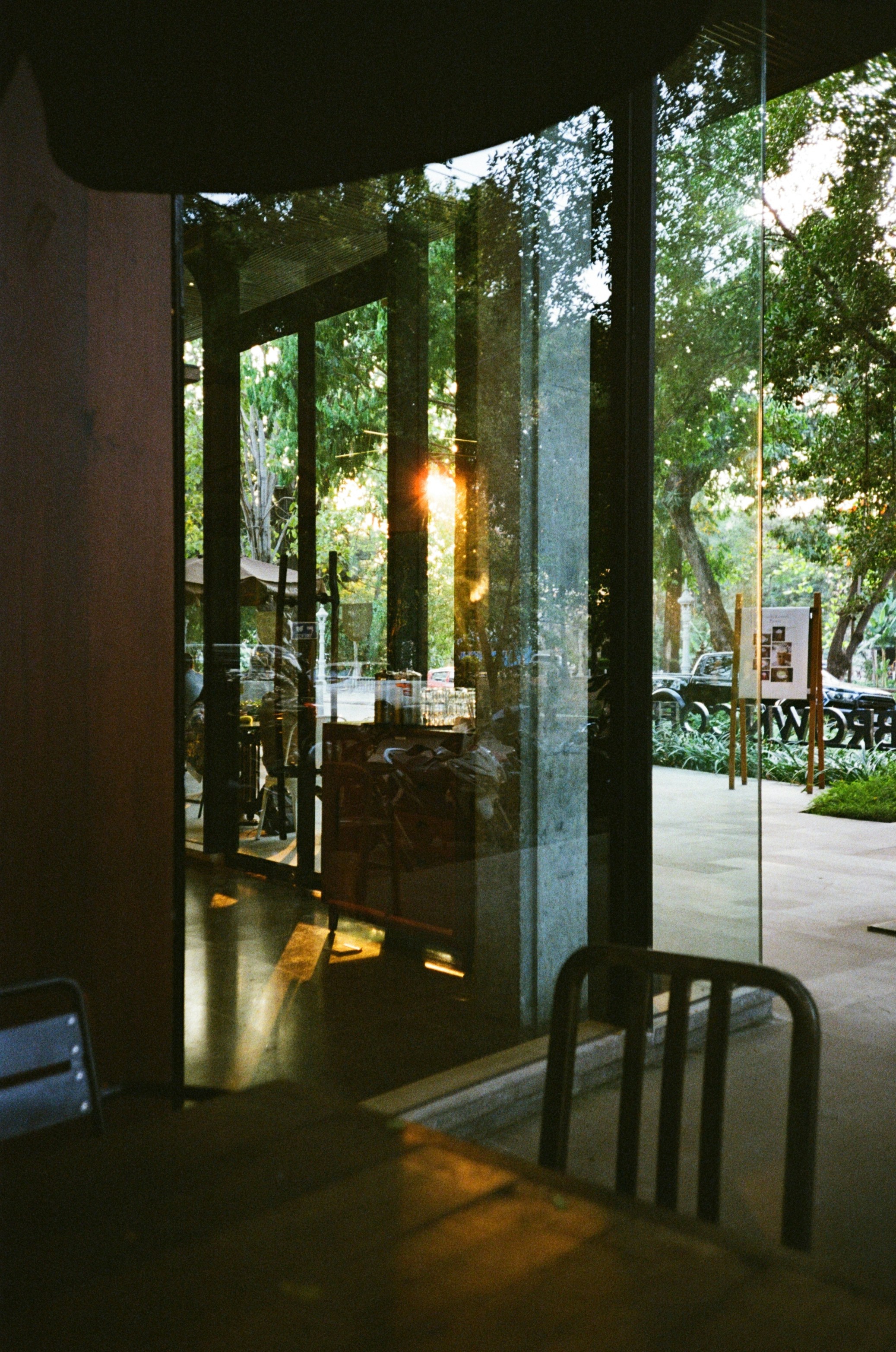 Green trees outside glass window photo – Free Door Image on Unsplash