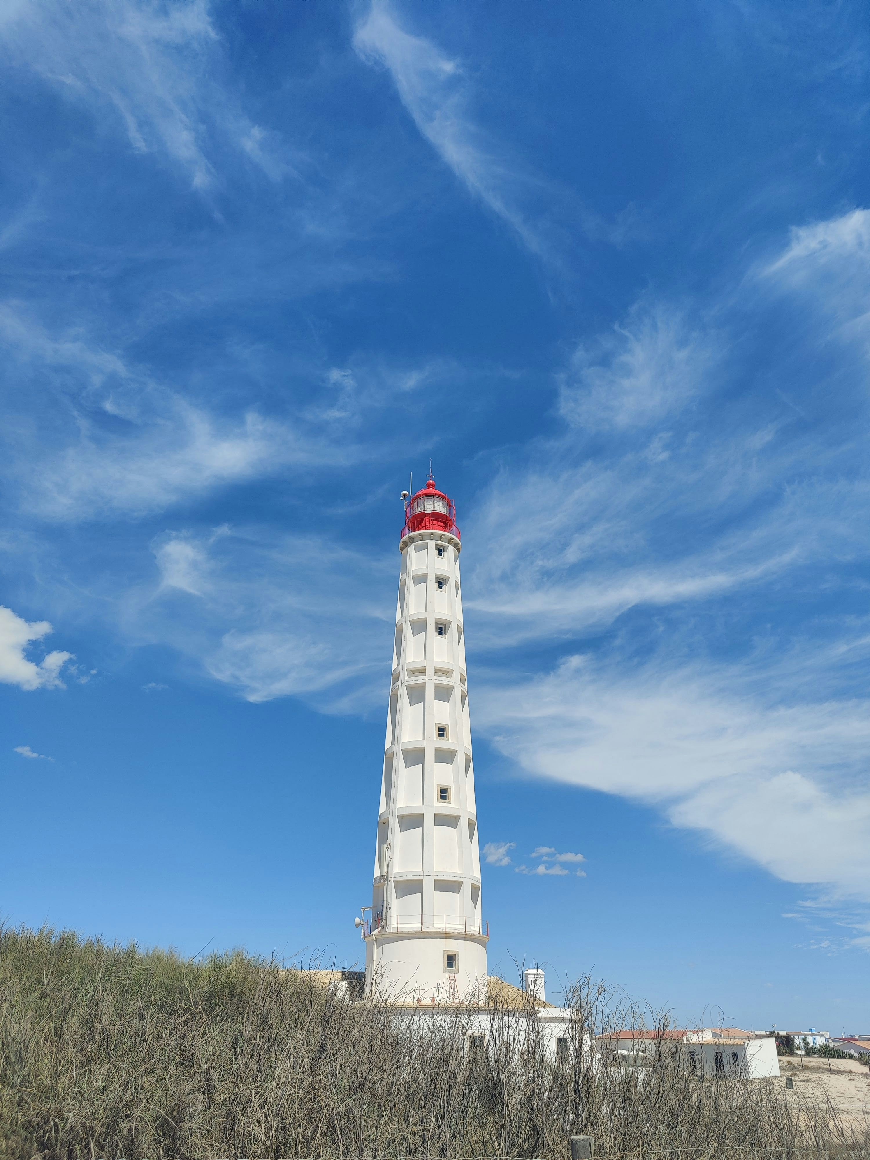 Tall white lighthouse with a red lantern cap rises above dune grasses against a clear blue sky. The image emphasizes the beacon's vertical form in bright daylight.