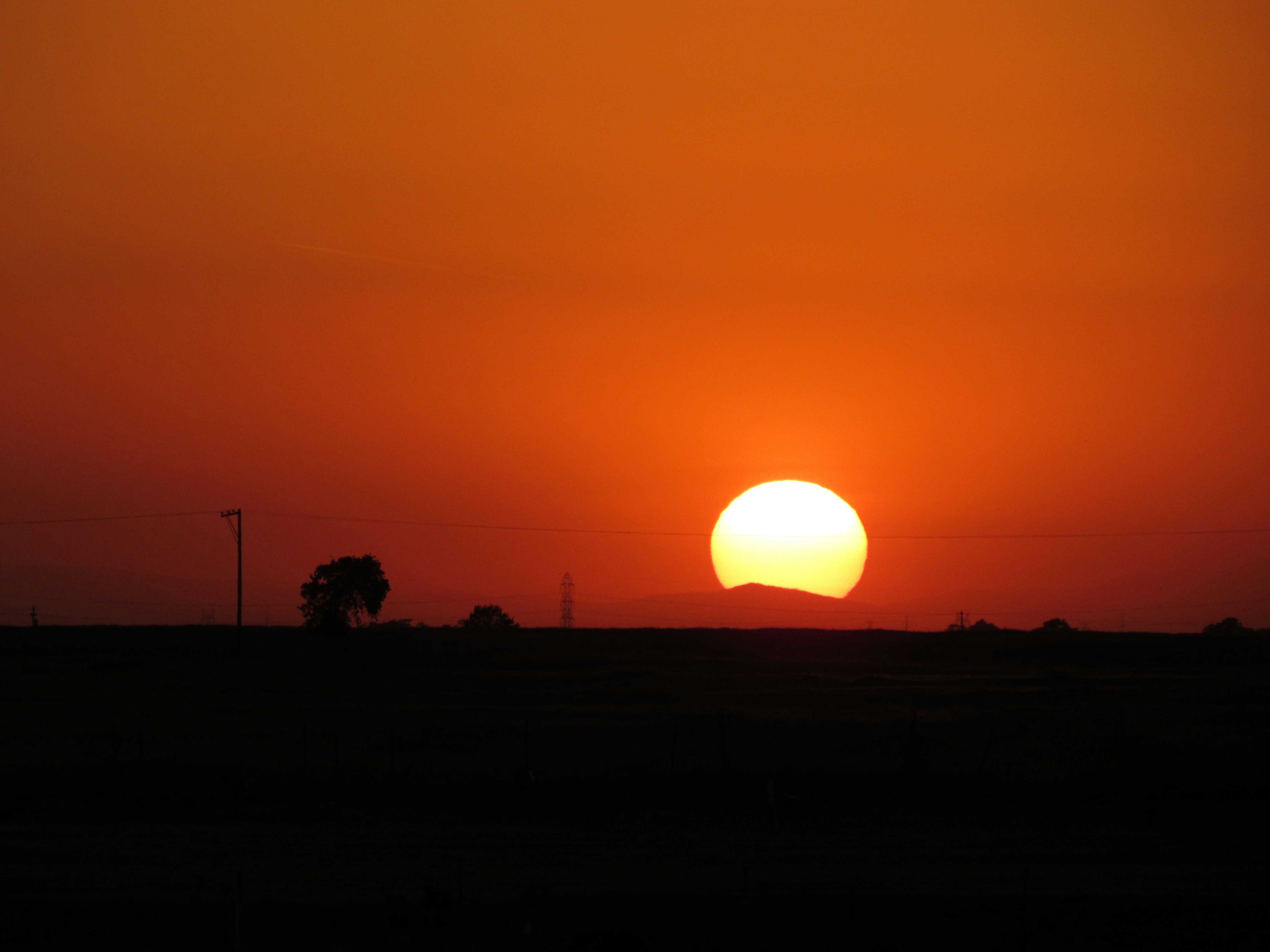 Golden sun setting over a flat landscape with silhouetted trees against an orange sky.