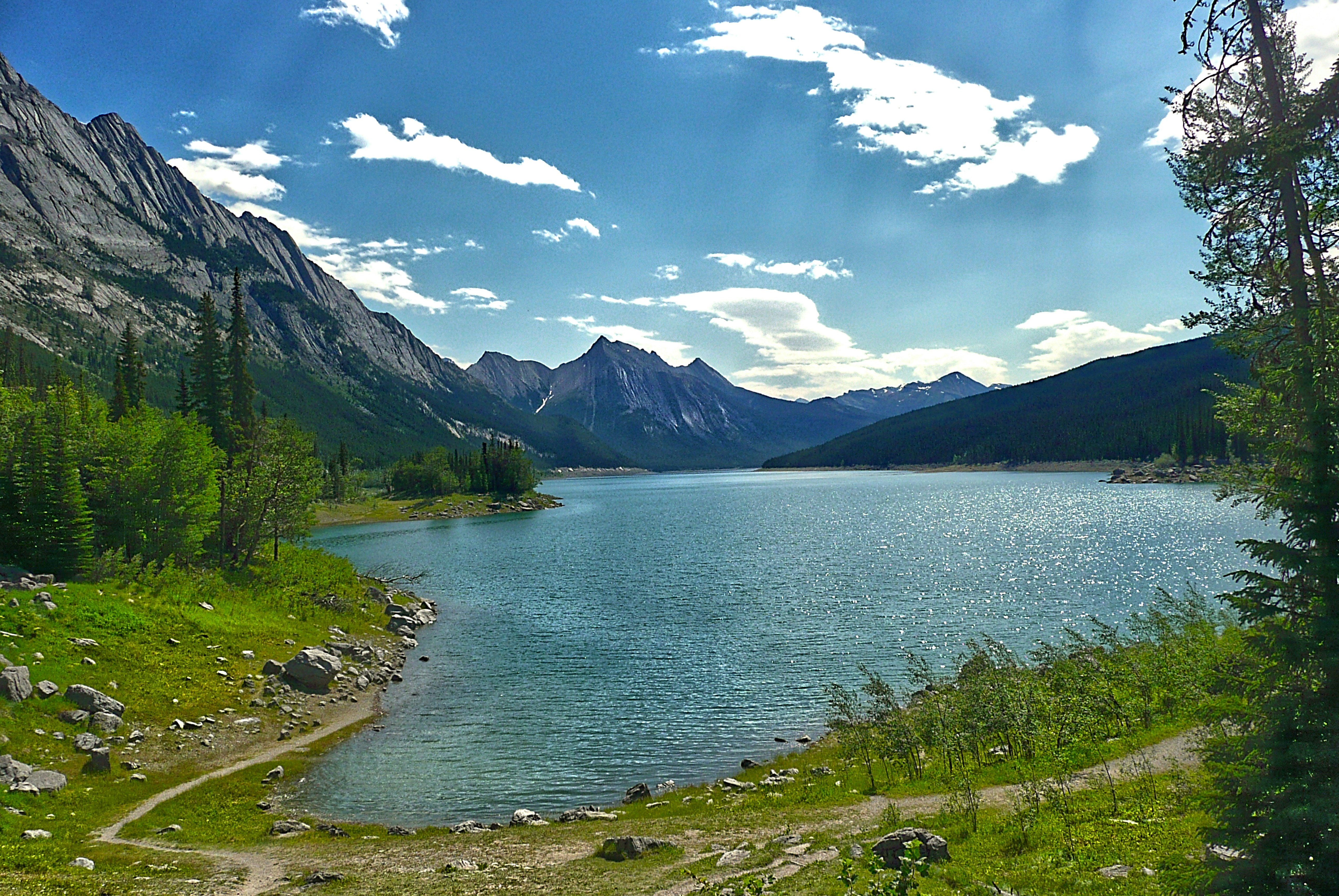 Green trees near lake under blue sky during daytime photo – Free Trees ...