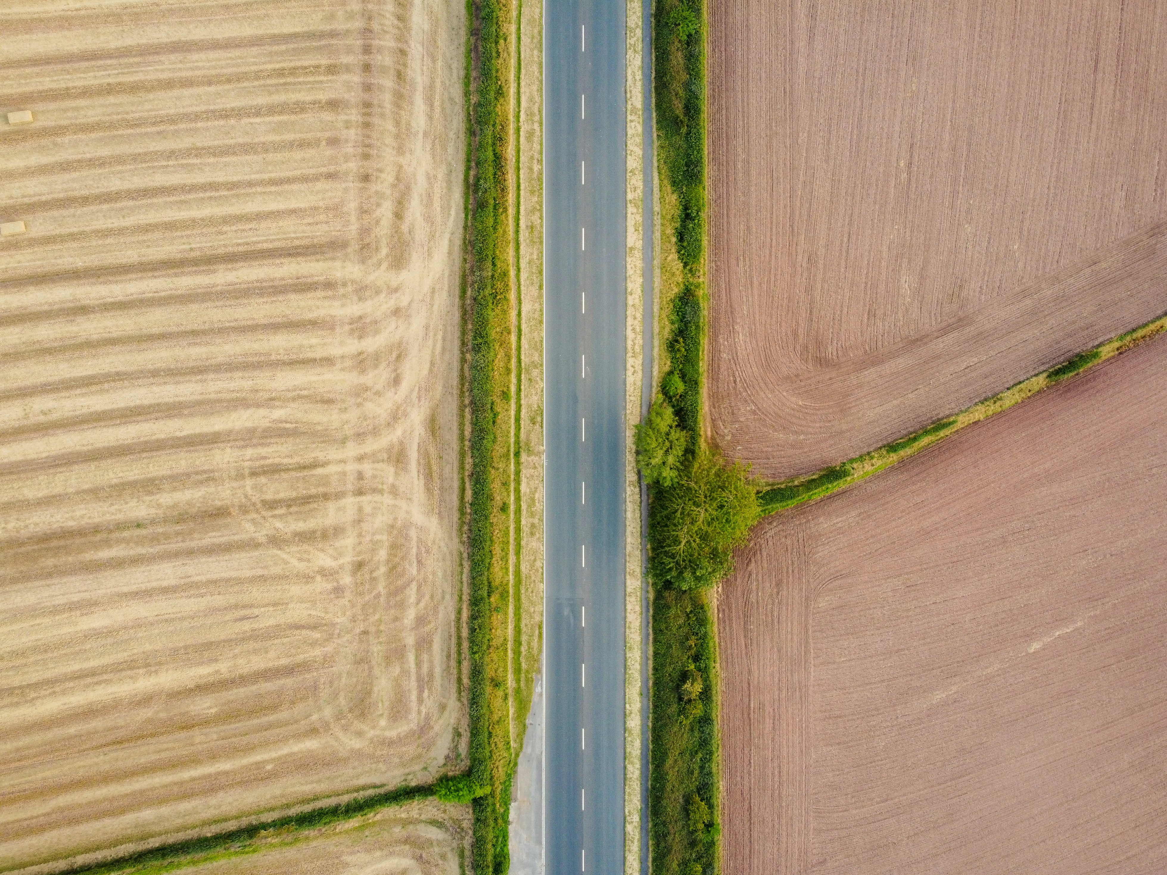 Aerial view of a straight road bordered by meticulously cultivated fields, showcasing the contrast between the textured earth and the smooth asphalt.