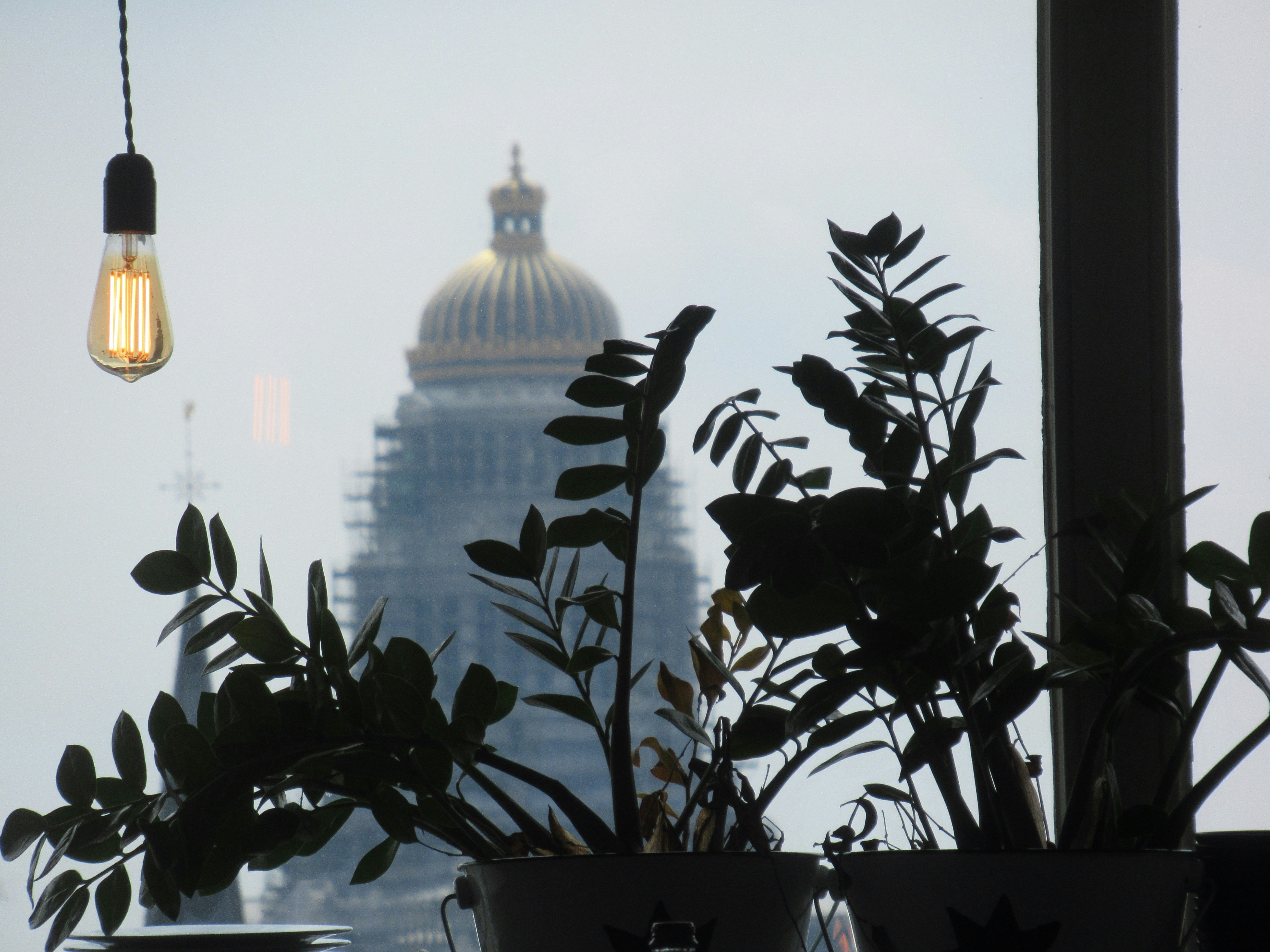 Silhouettes of indoor plants frame a distant architectural dome under construction, creating a blend of nature and urban development.