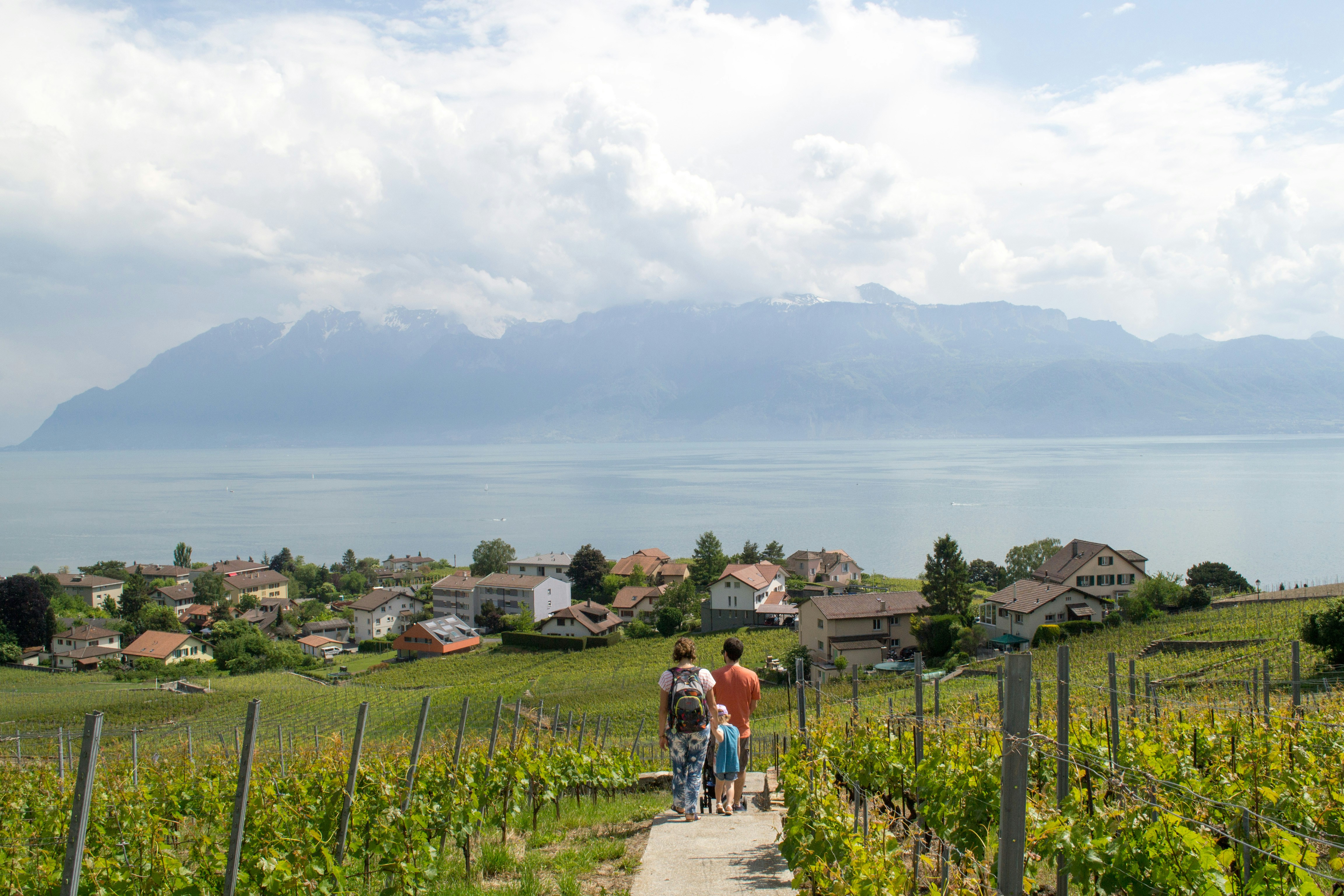 Family walking through vineyard towards a village by a vast lake with mountains in the background under a cloudy sky.