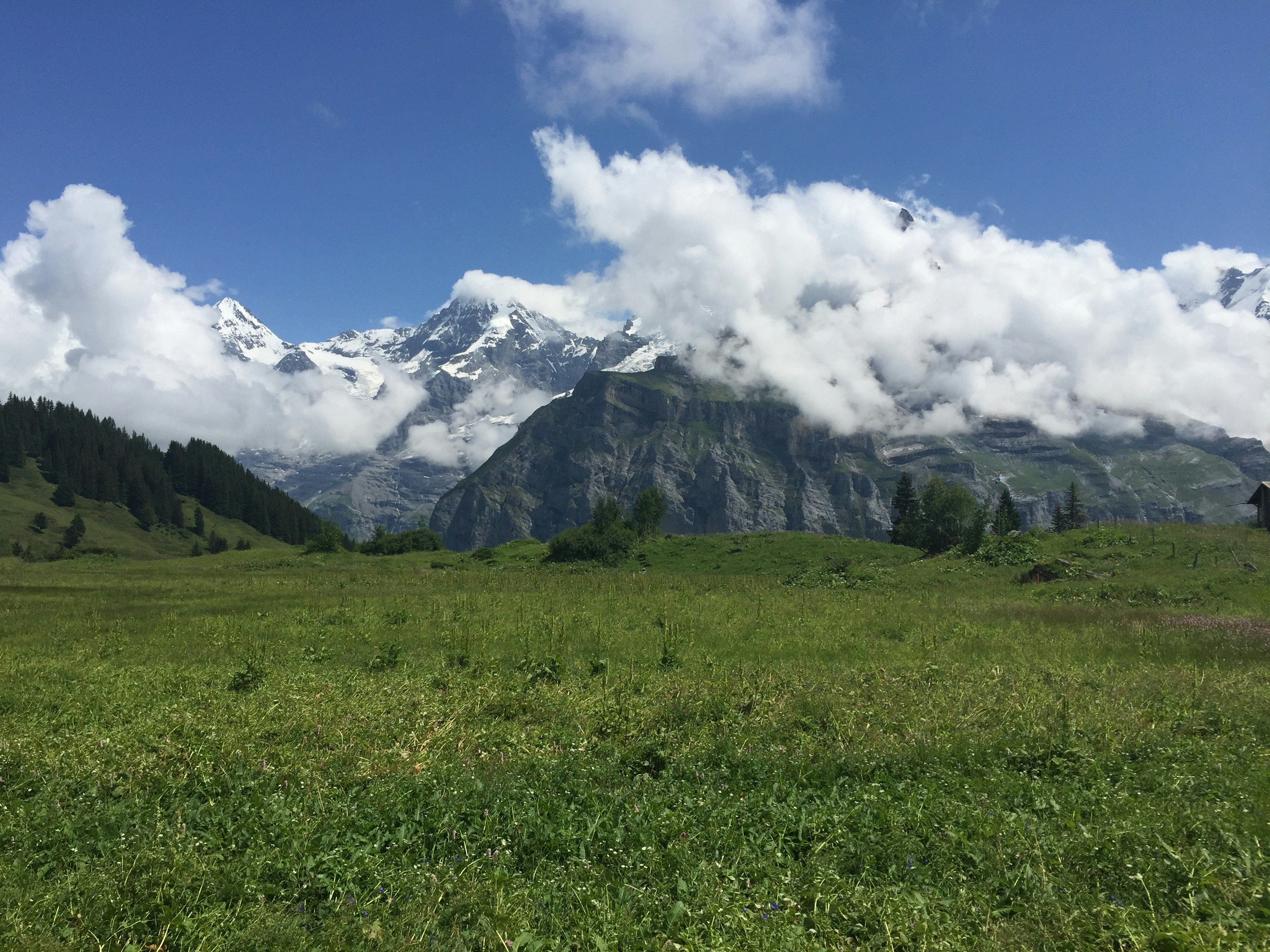 Majestic snow-capped mountains rise behind a lush green meadow under a blue sky scattered with clouds.