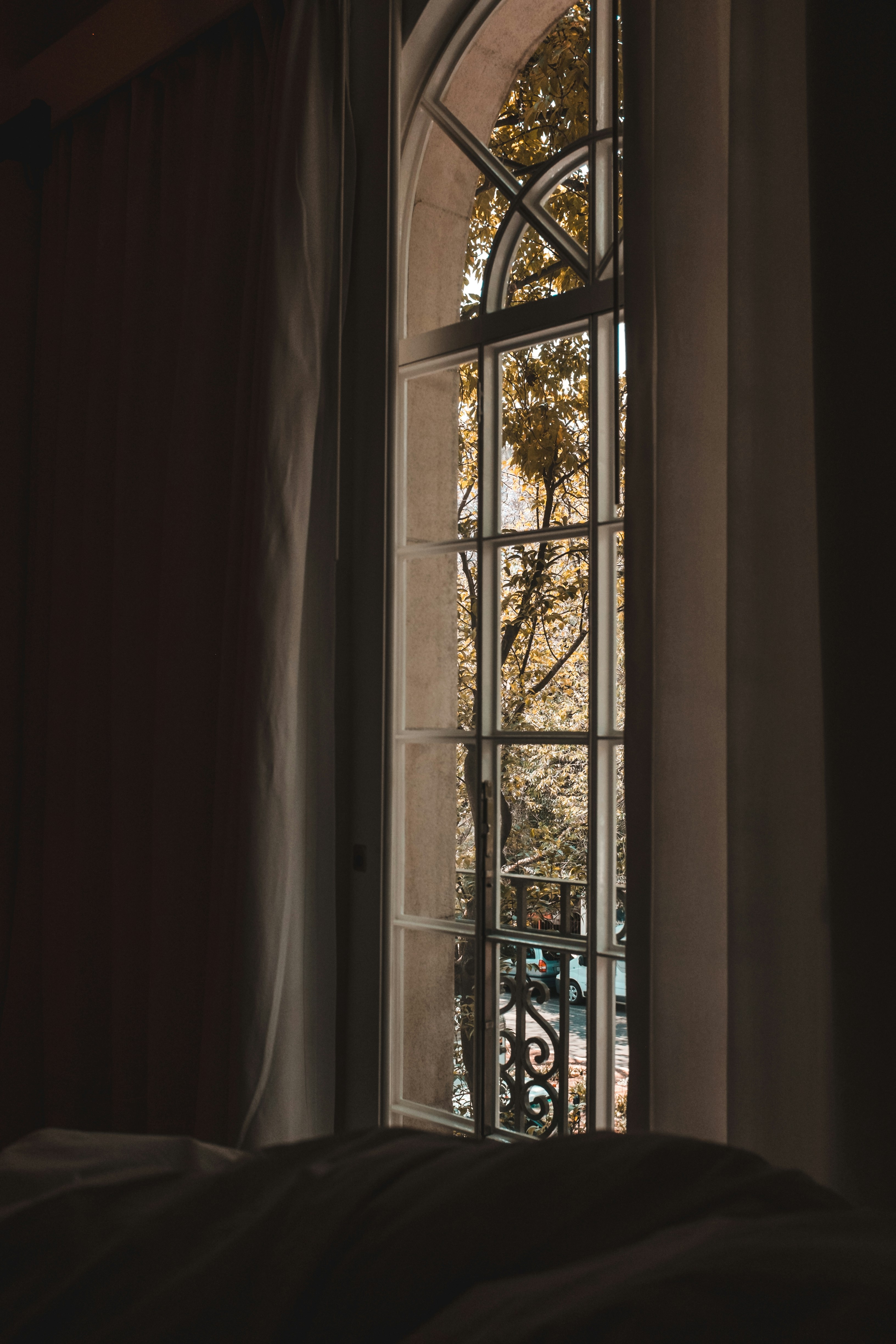 Sunlight filters through a vintage window, illuminating the golden leaves outside and casting soft shadows in the room.
