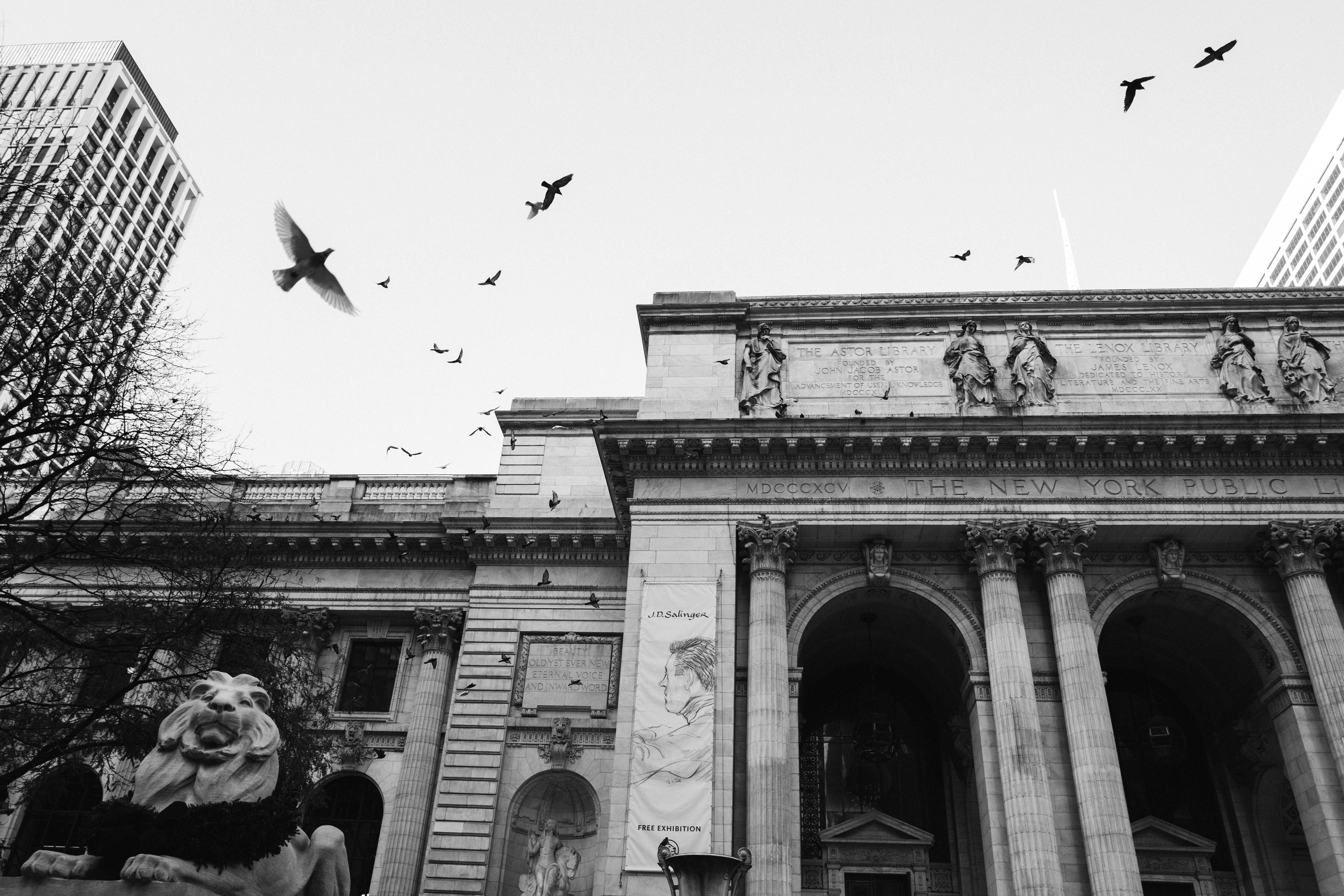 Archway and Lions: Urban Monument Under Birds in Black and White