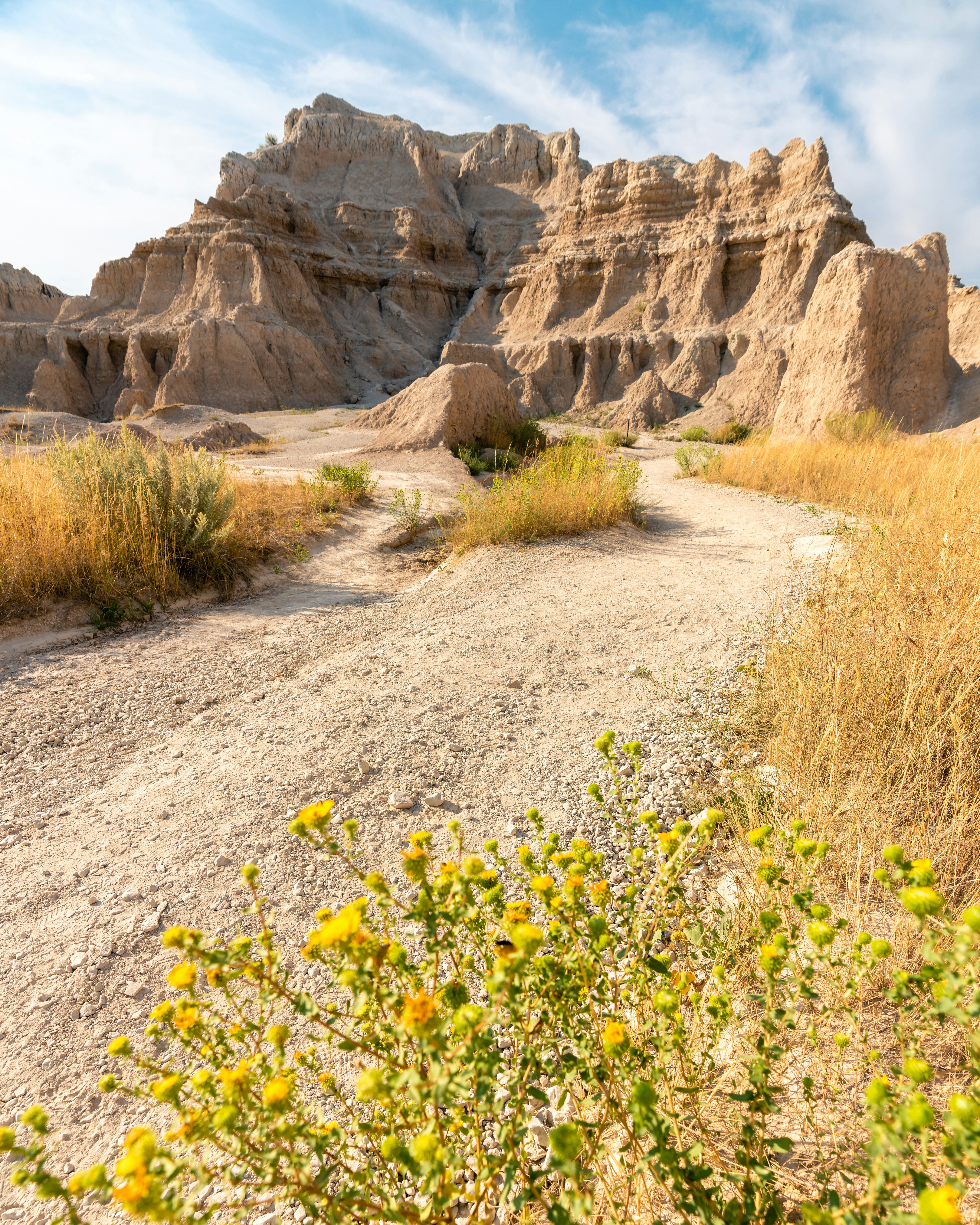 The beginning of the Notch Trail in Badlands National Park. | yellow flowers on brown dirt road