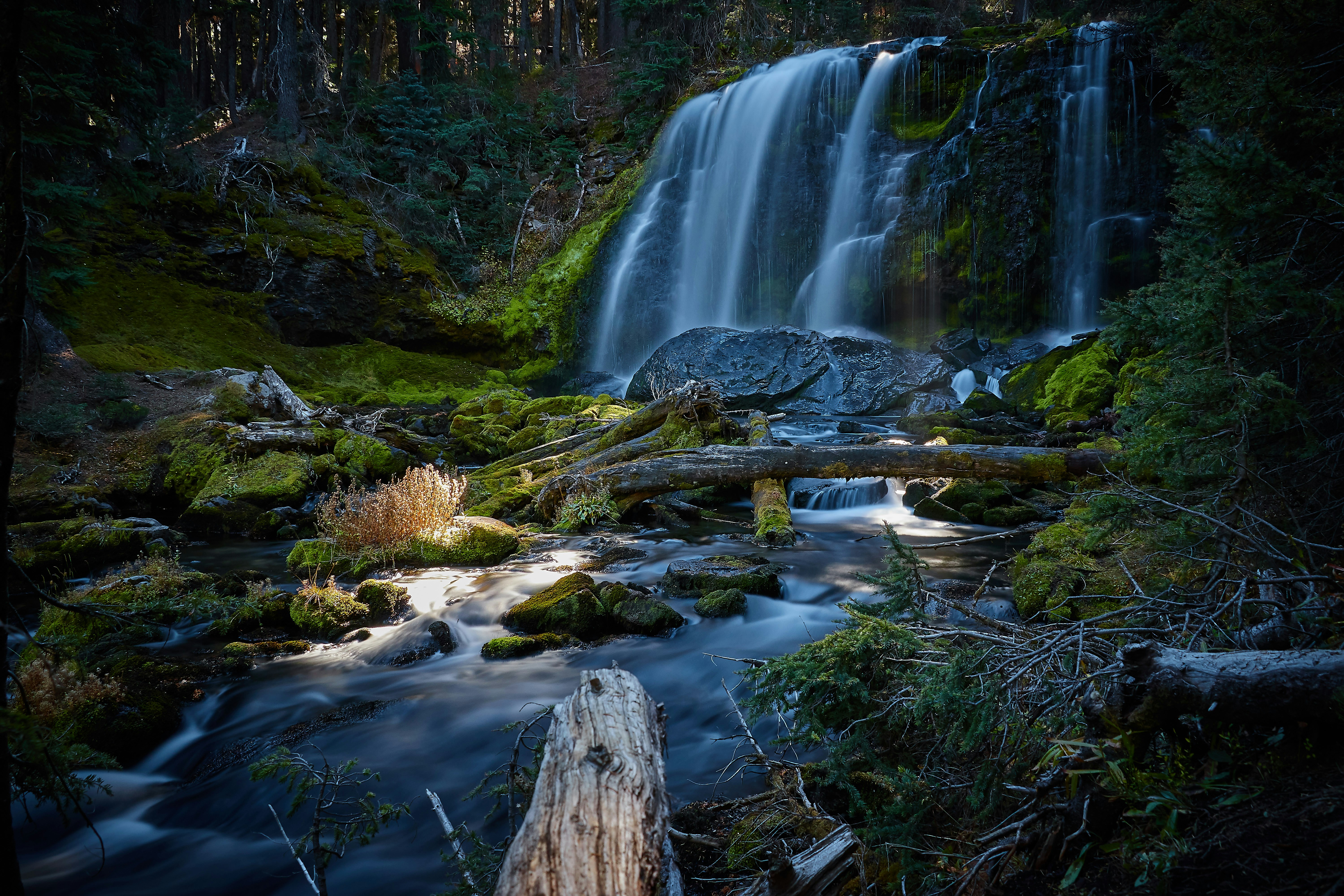 Moss-covered rocks and fallen logs frame a serene waterfall in a forest setting.
