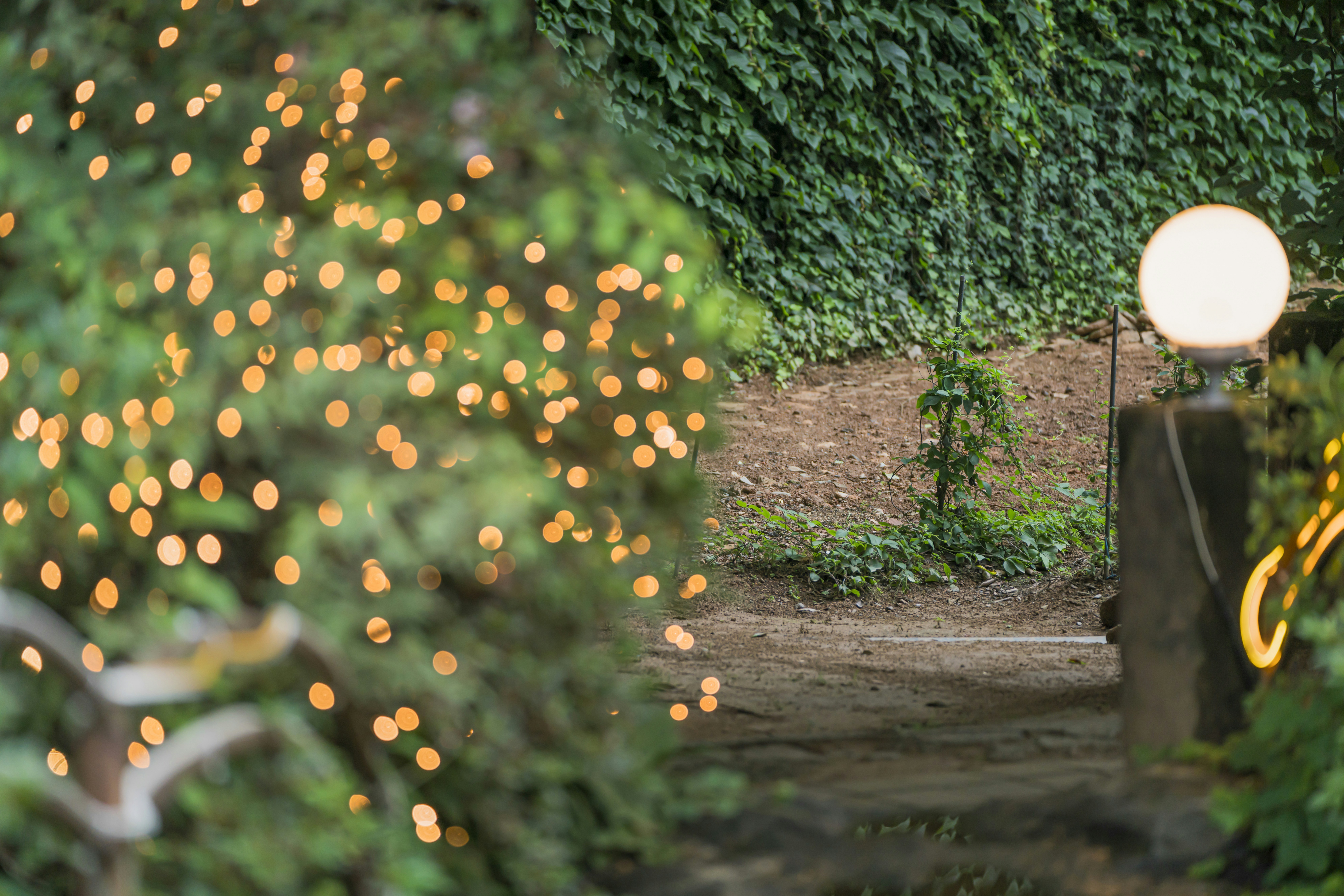 Whispering Path: Bokeh Bouquet Along a Lantern-lit Garden Trail